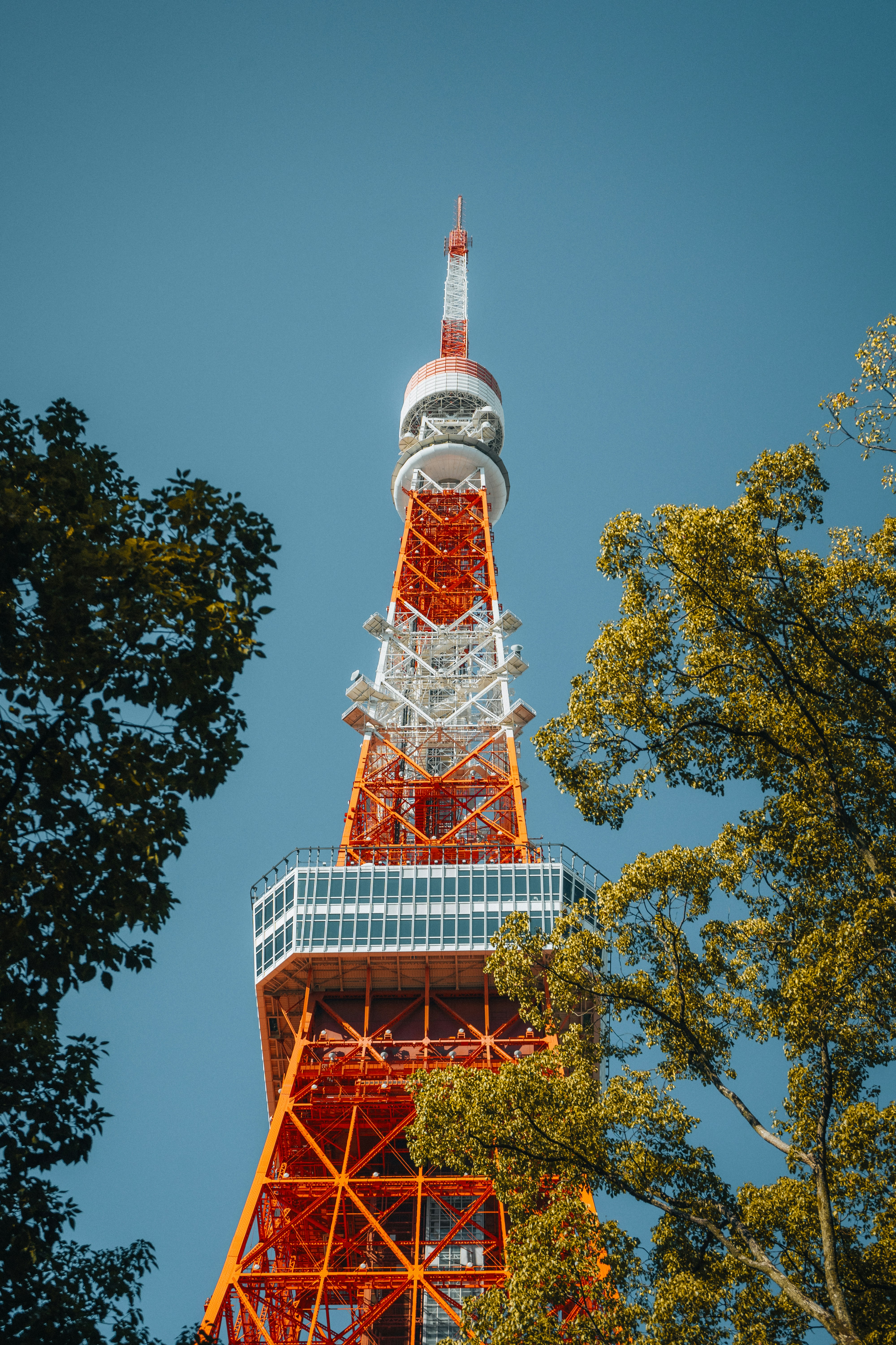 Tokyo Tower rises into a clear autumn sky, framed by quiet stairways and fading leaves. The contrast between its vivid red-and-white structure and the calm blue background highlights both the precision of human engineering and the seasonal softness of the surrounding nature. Shot in autumn, these images explore the dialogue between city landmarks and fleeting moments of change, where geometry, color, and light briefly align.
