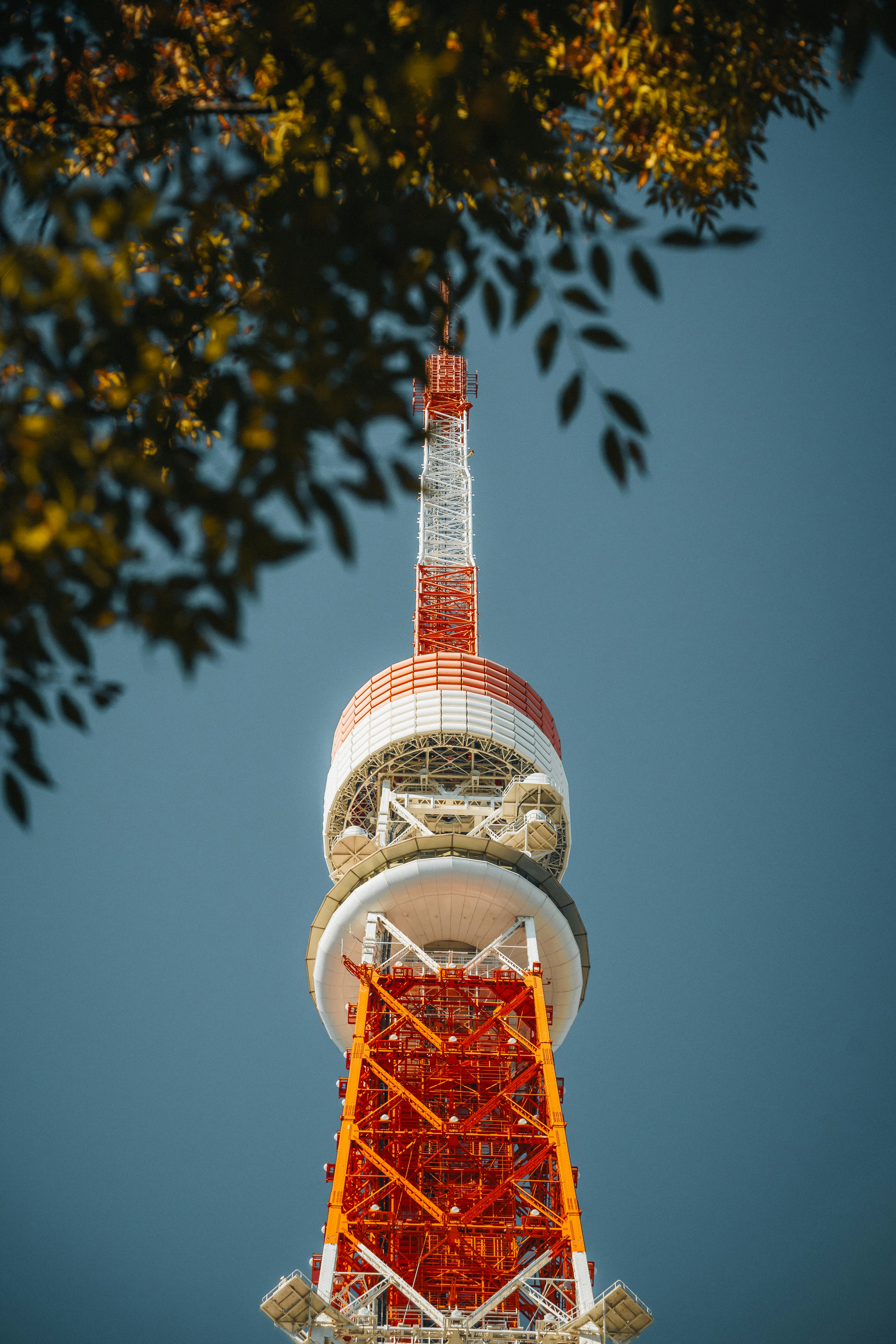 Tokyo Tower rises into a clear autumn sky, framed by quiet stairways and fading leaves. The contrast between its vivid red-and-white structure and the calm blue background highlights both the precision of human engineering and the seasonal softness of the surrounding nature. Shot in autumn, these images explore the dialogue between city landmarks and fleeting moments of change, where geometry, color, and light briefly align.