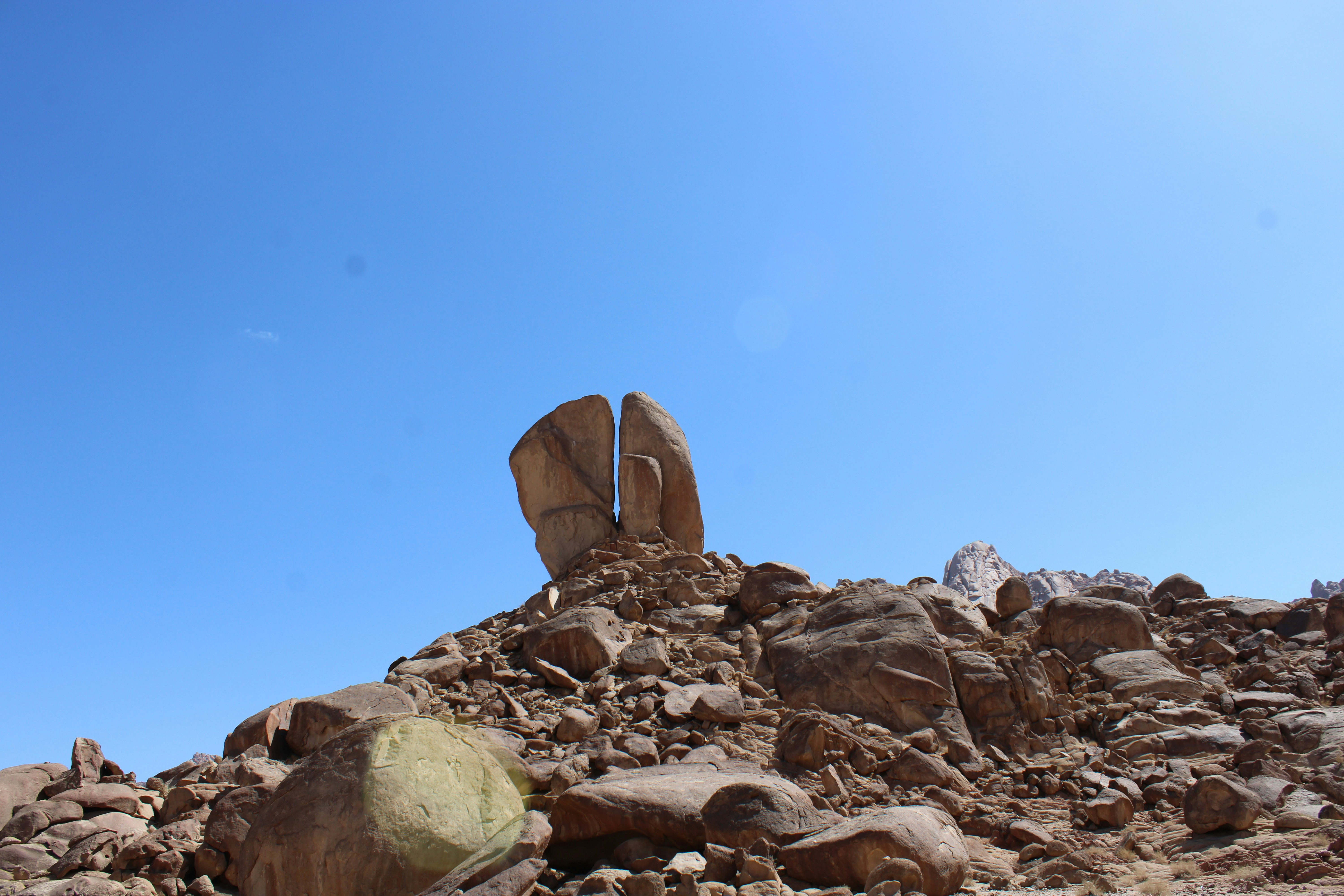 Photo by Arne Backhaus with Canon EOS 2000D