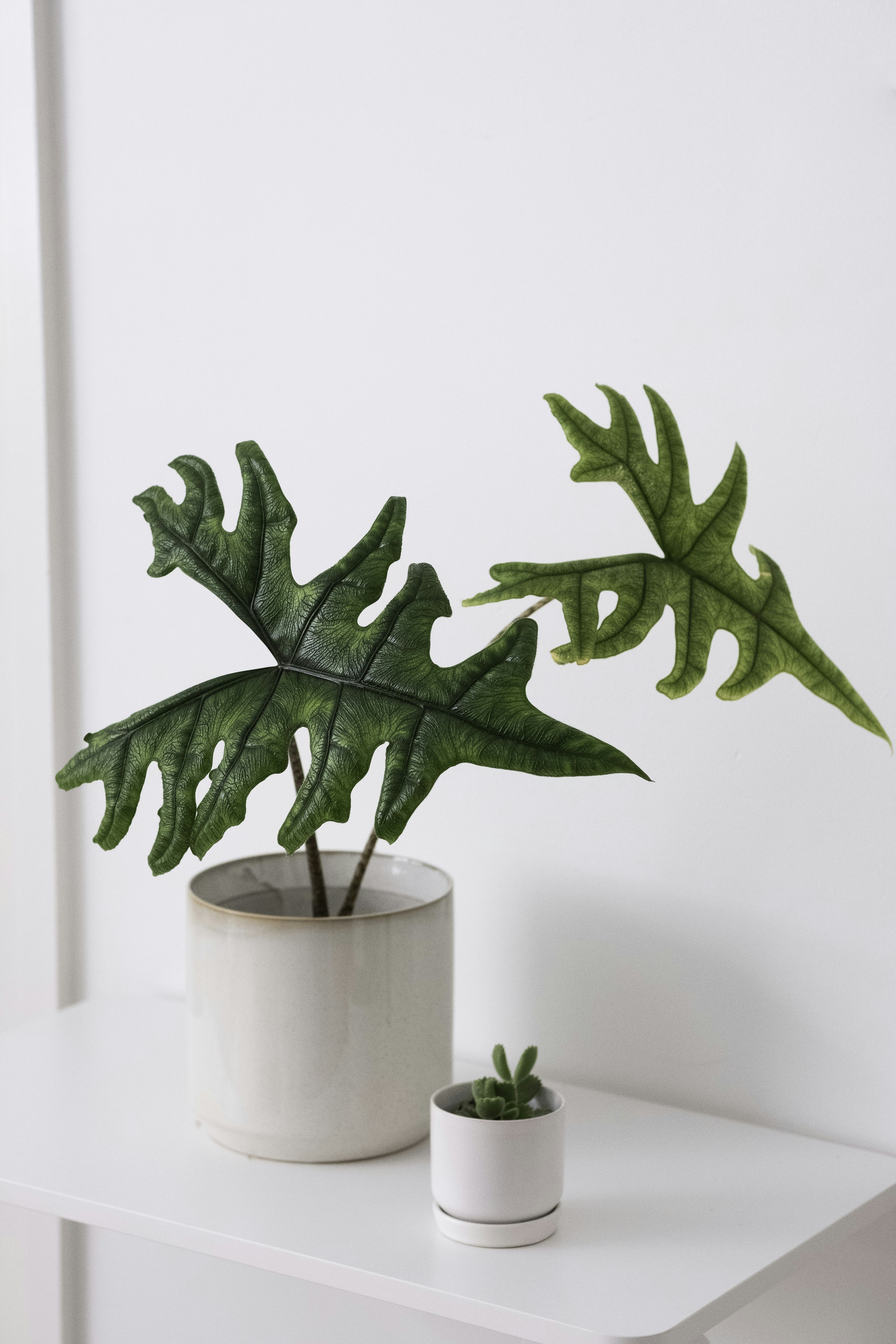 Photo by Anna Manson with Fujifilm X-T2