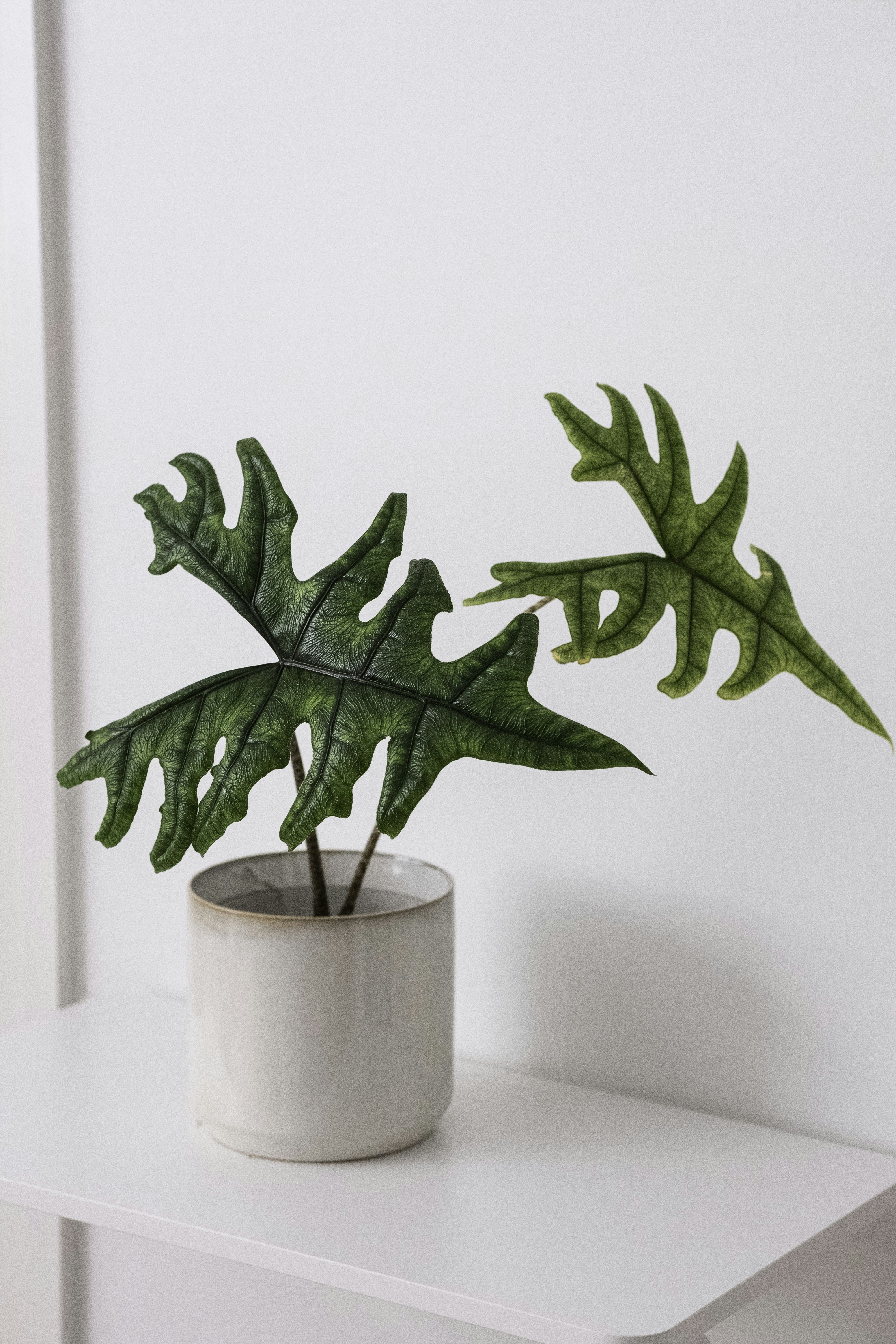 Photo by Anna Manson with Fujifilm X-T2