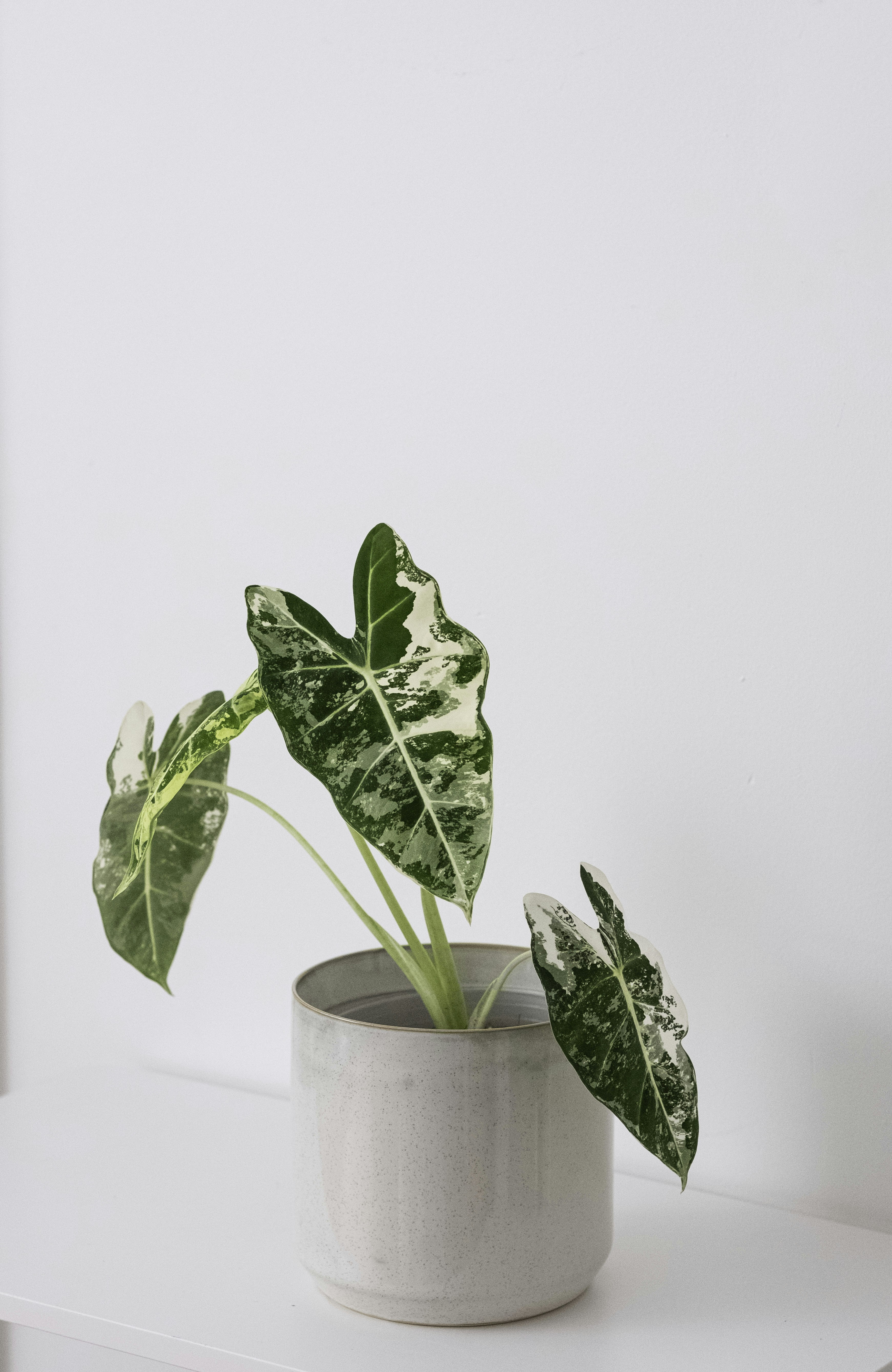 Photo by Anna Manson with Fujifilm X-T2