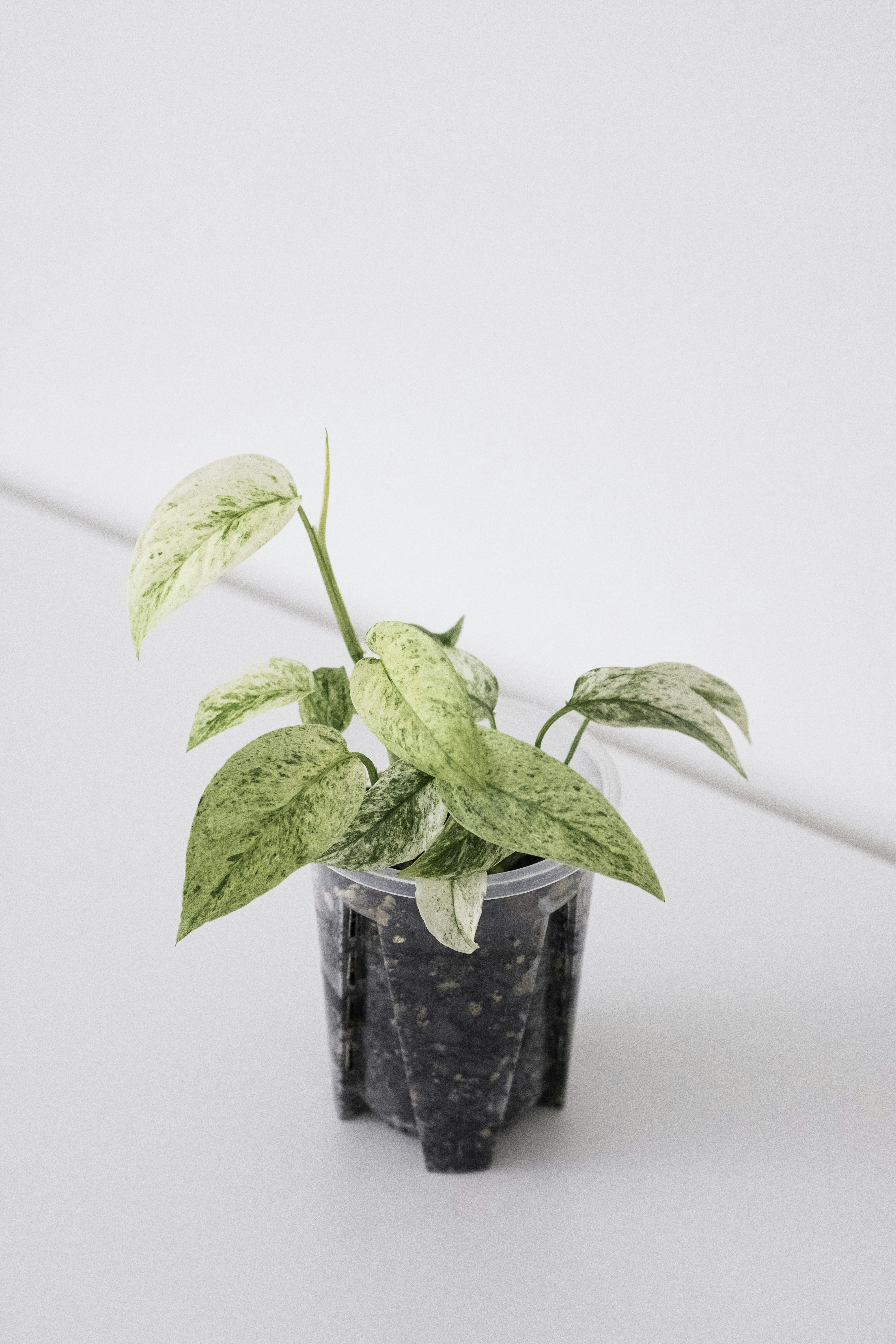 Photo by Anna Manson with Fujifilm X-T2