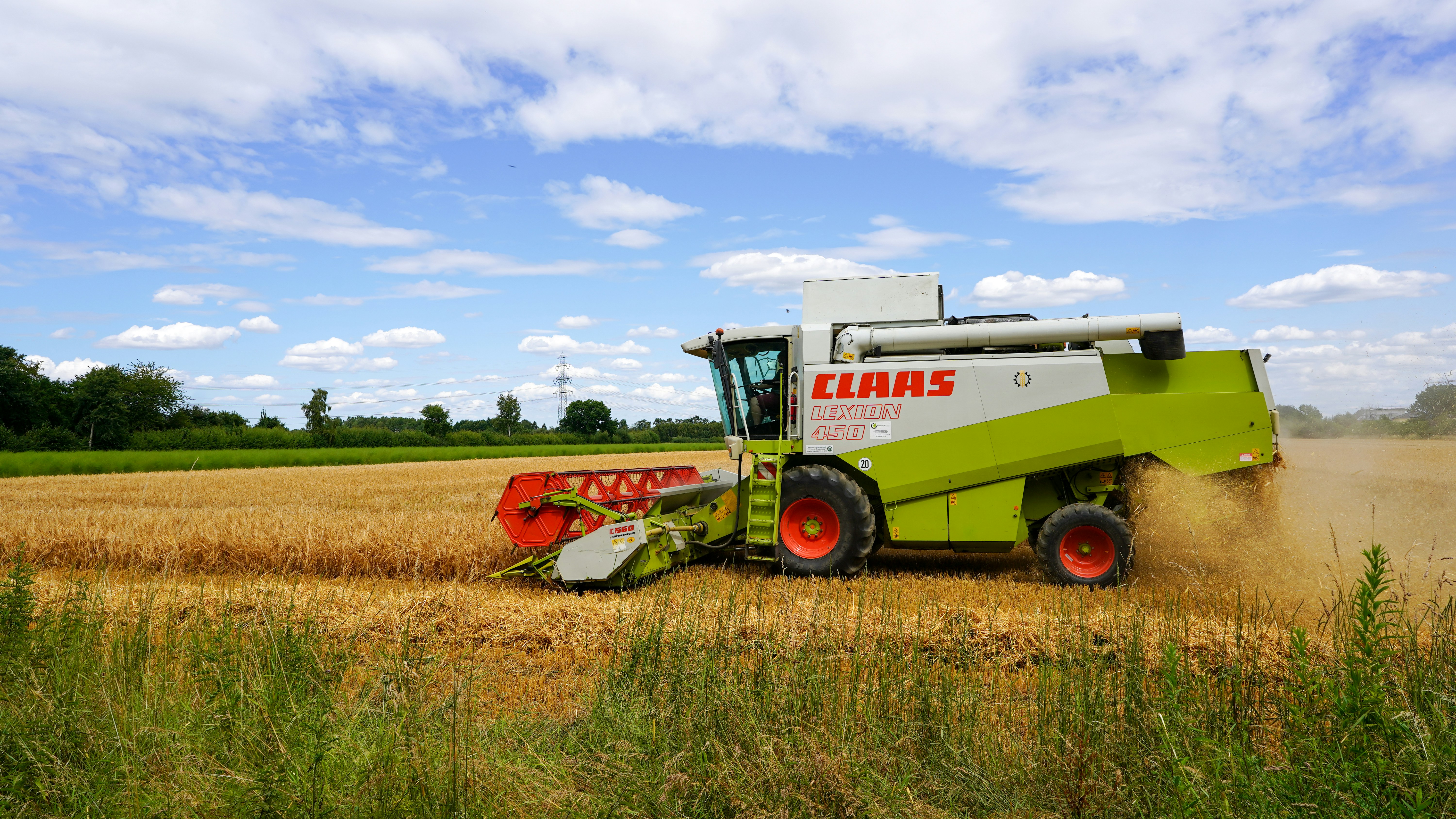 Harvest Pulse: CLAAS Harvester Reaping Golden Field