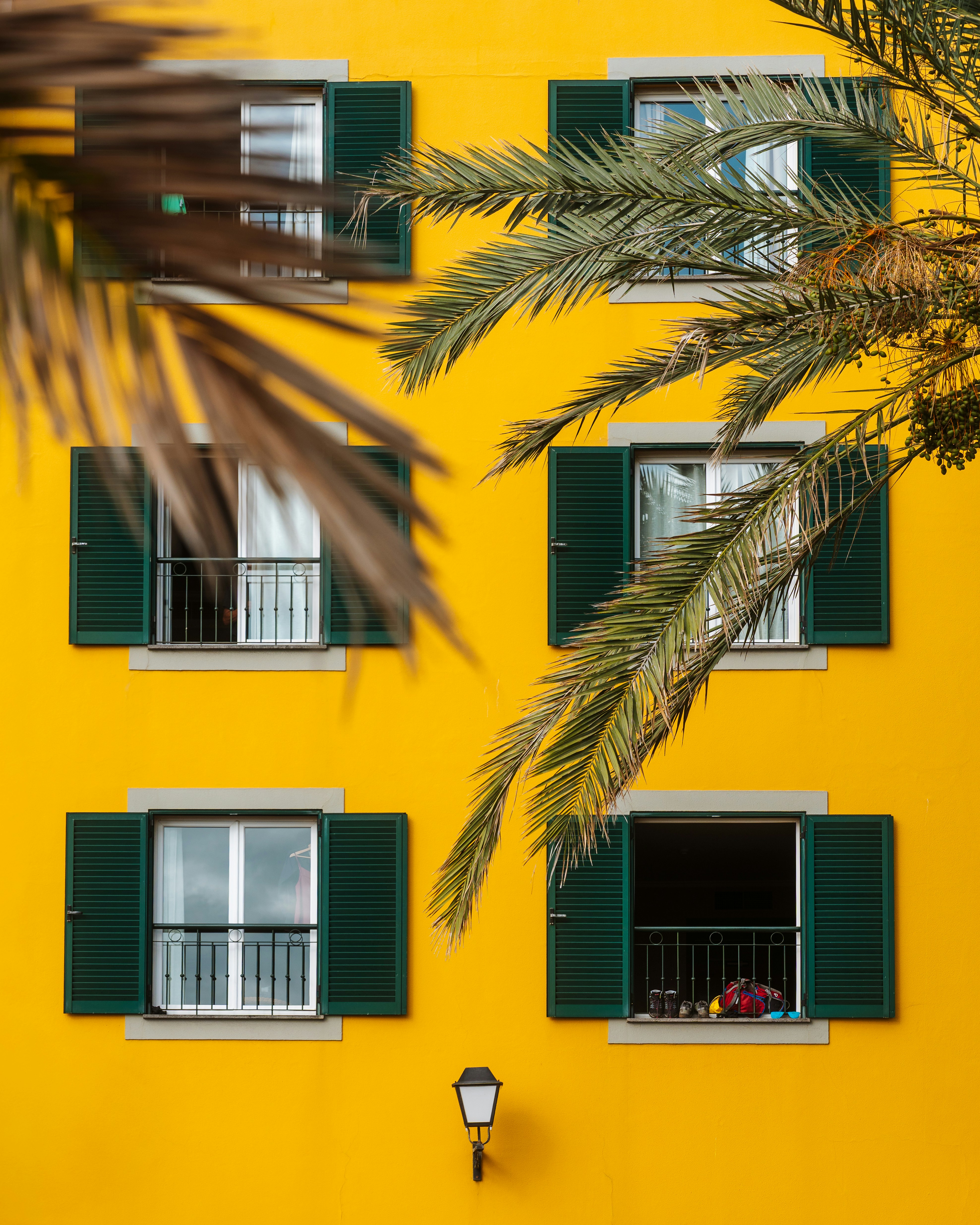 Sunlit Citrus Facade with Green Shutter Echoes