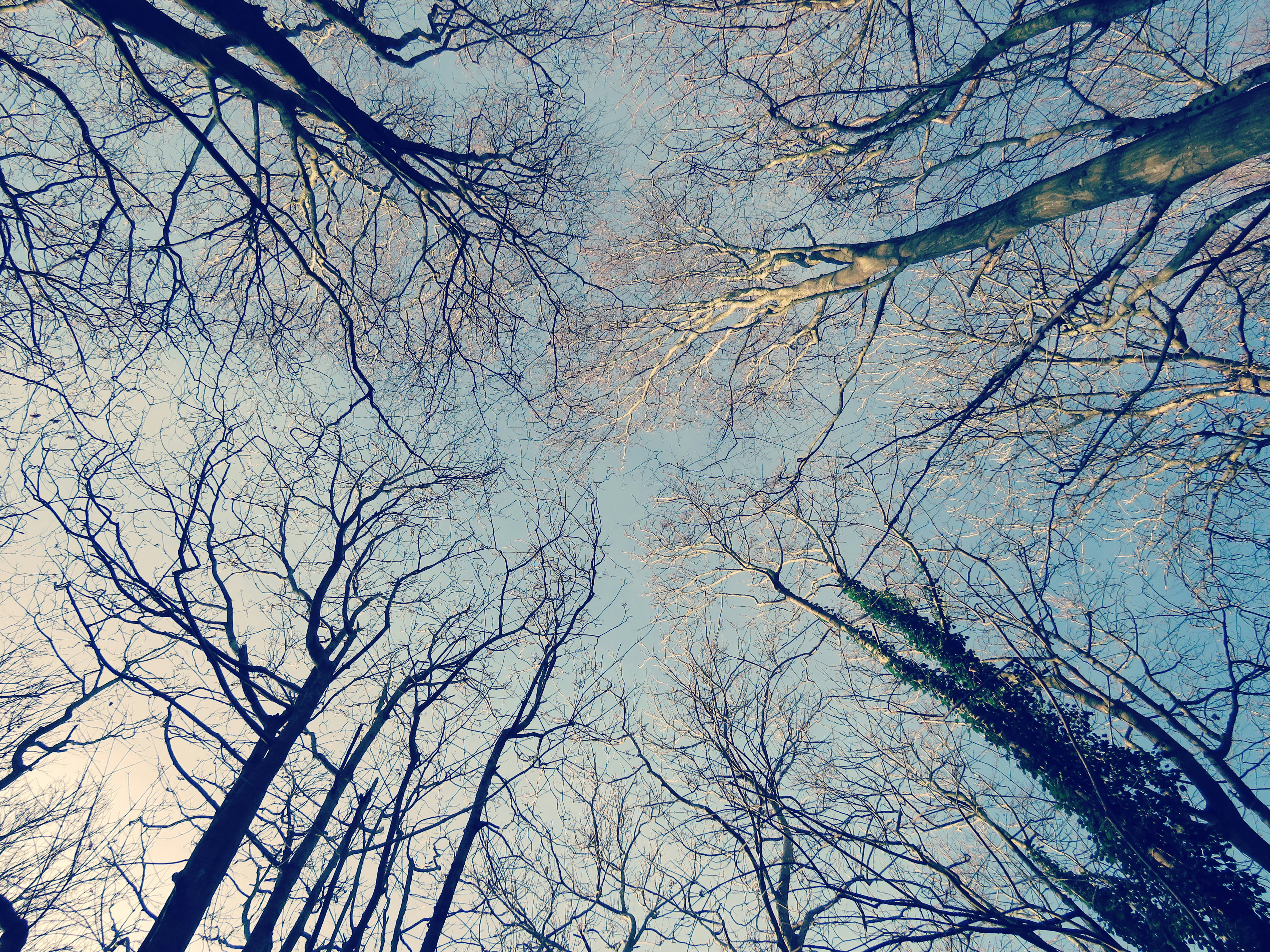 Photo by Chris with Canon PowerShot SX60 HS