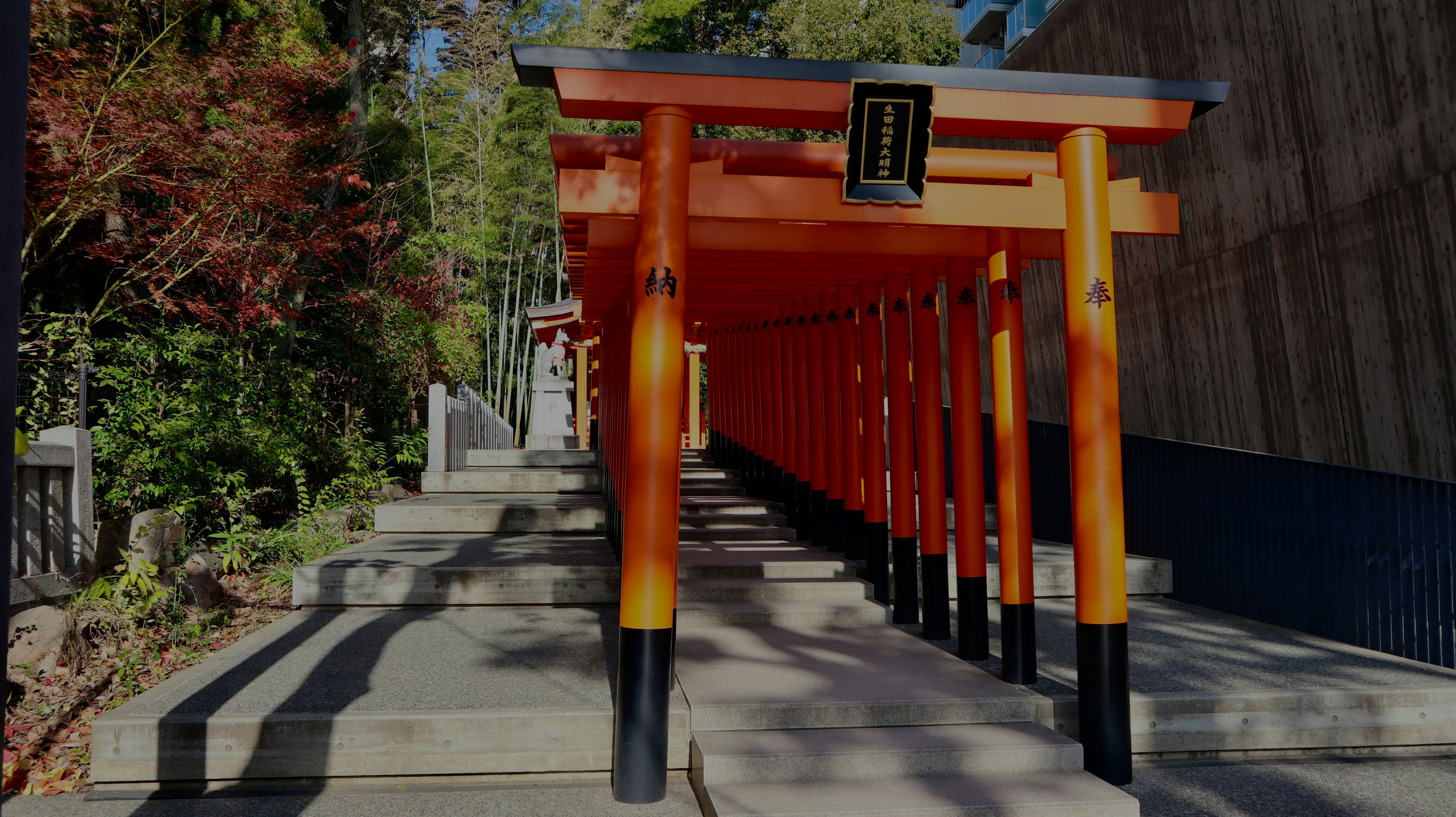 Torii Trail: Parallel Gates DIVE into the Shadowed Stairway