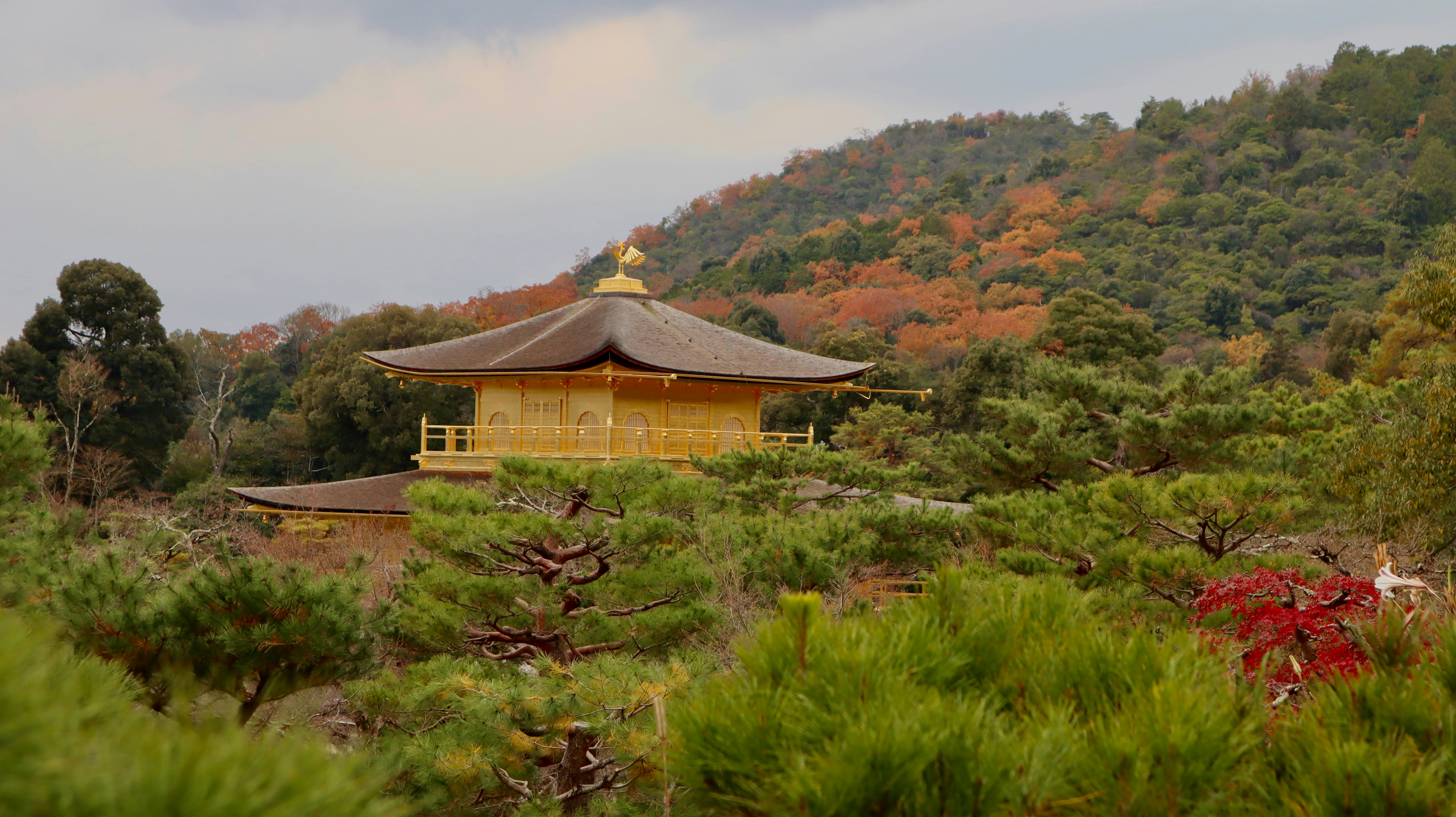 Golden Pavilion in Autumn Serenity