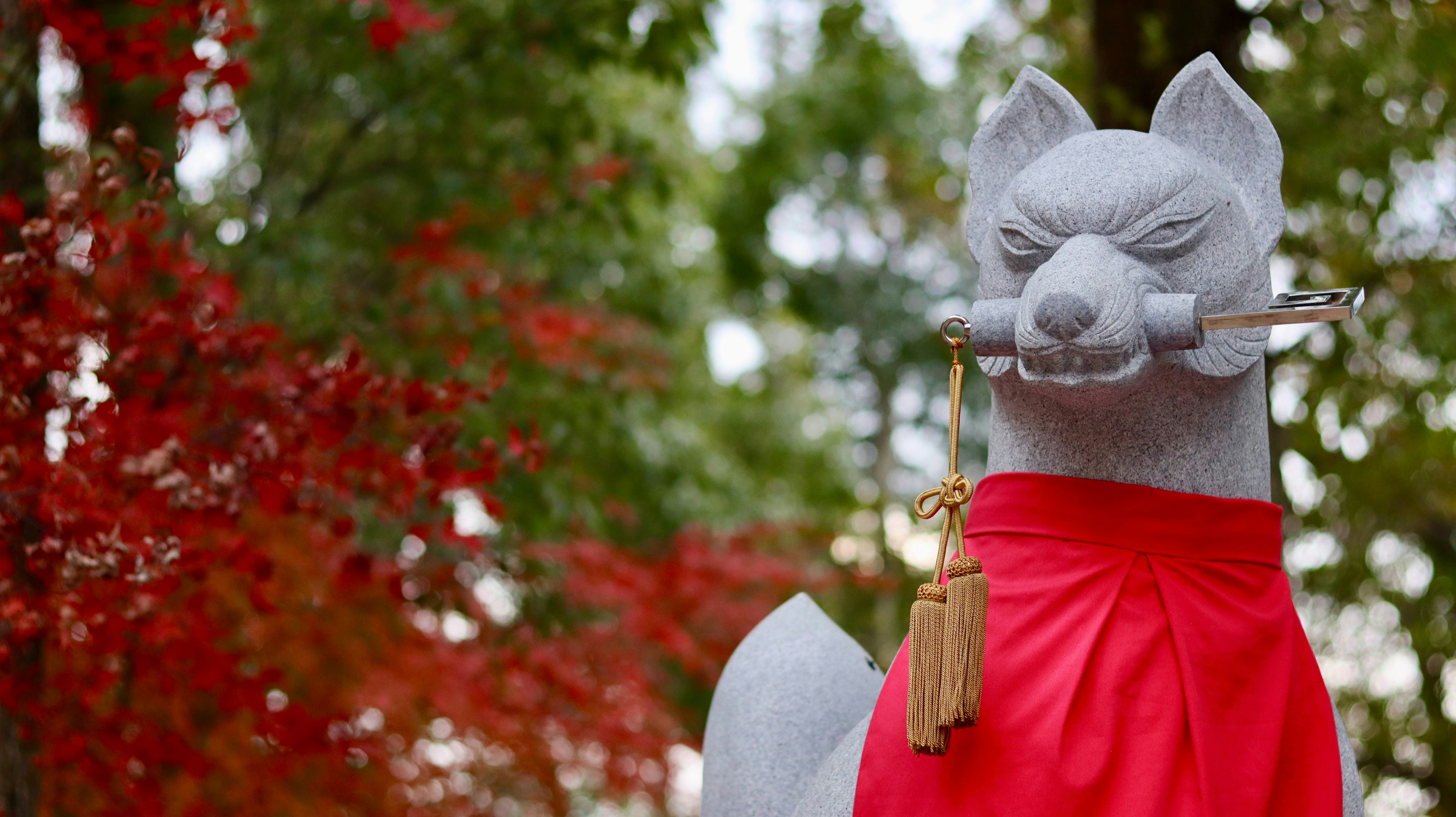 Photo by Dat Tran with Canon EOS M50