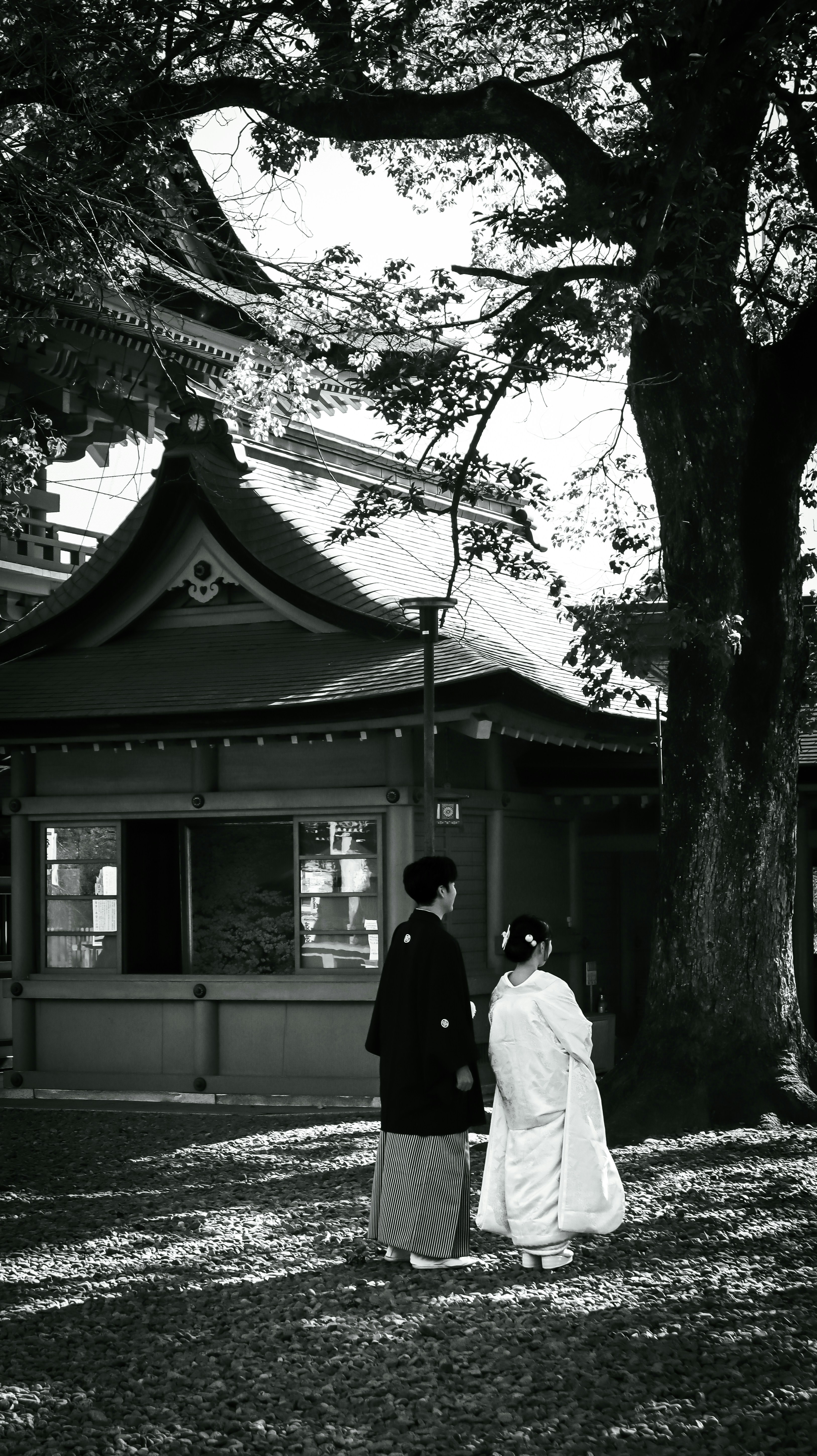 Whispers Under the Shrine Tree