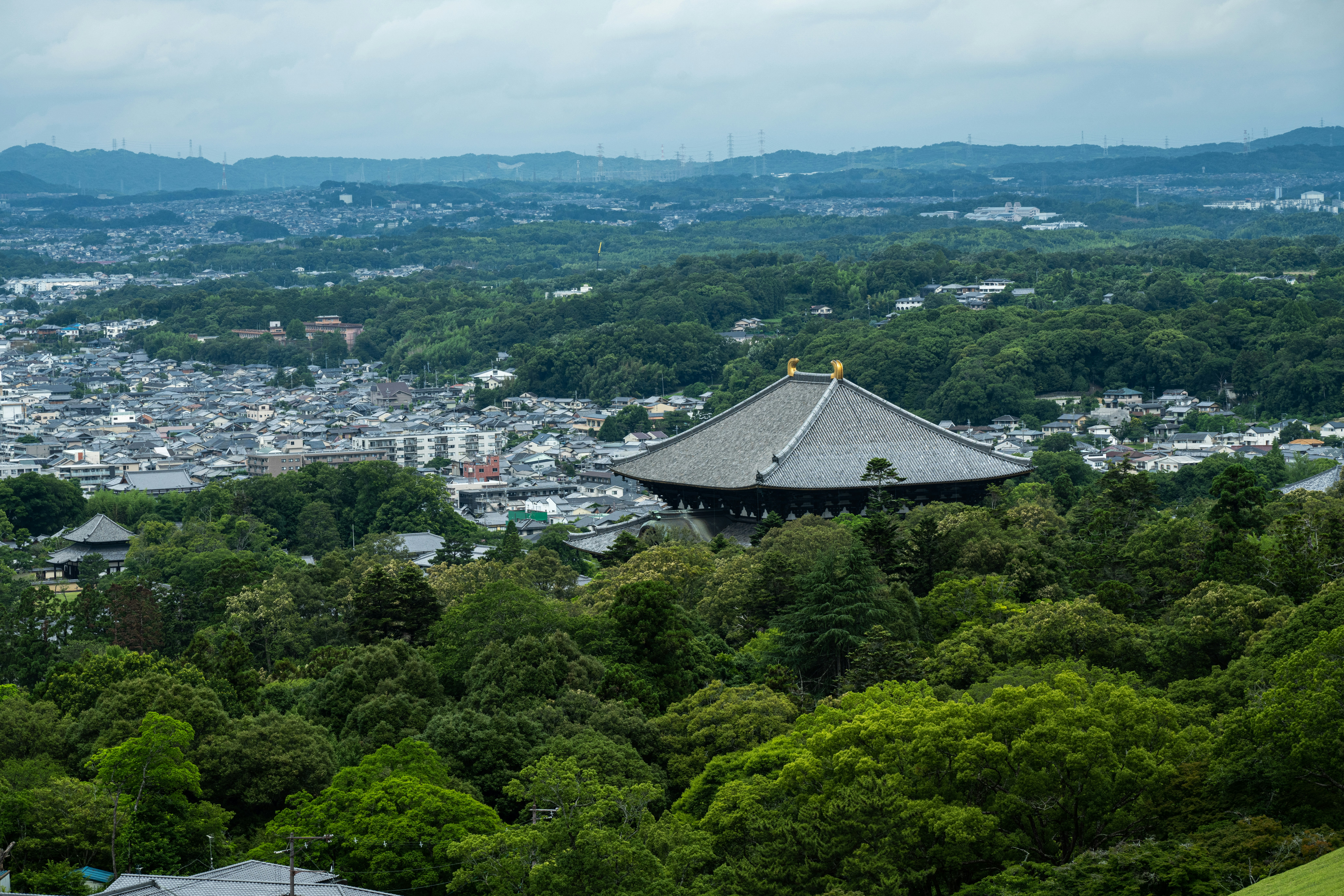 Photo by Young Kane with Nikon Z7 II