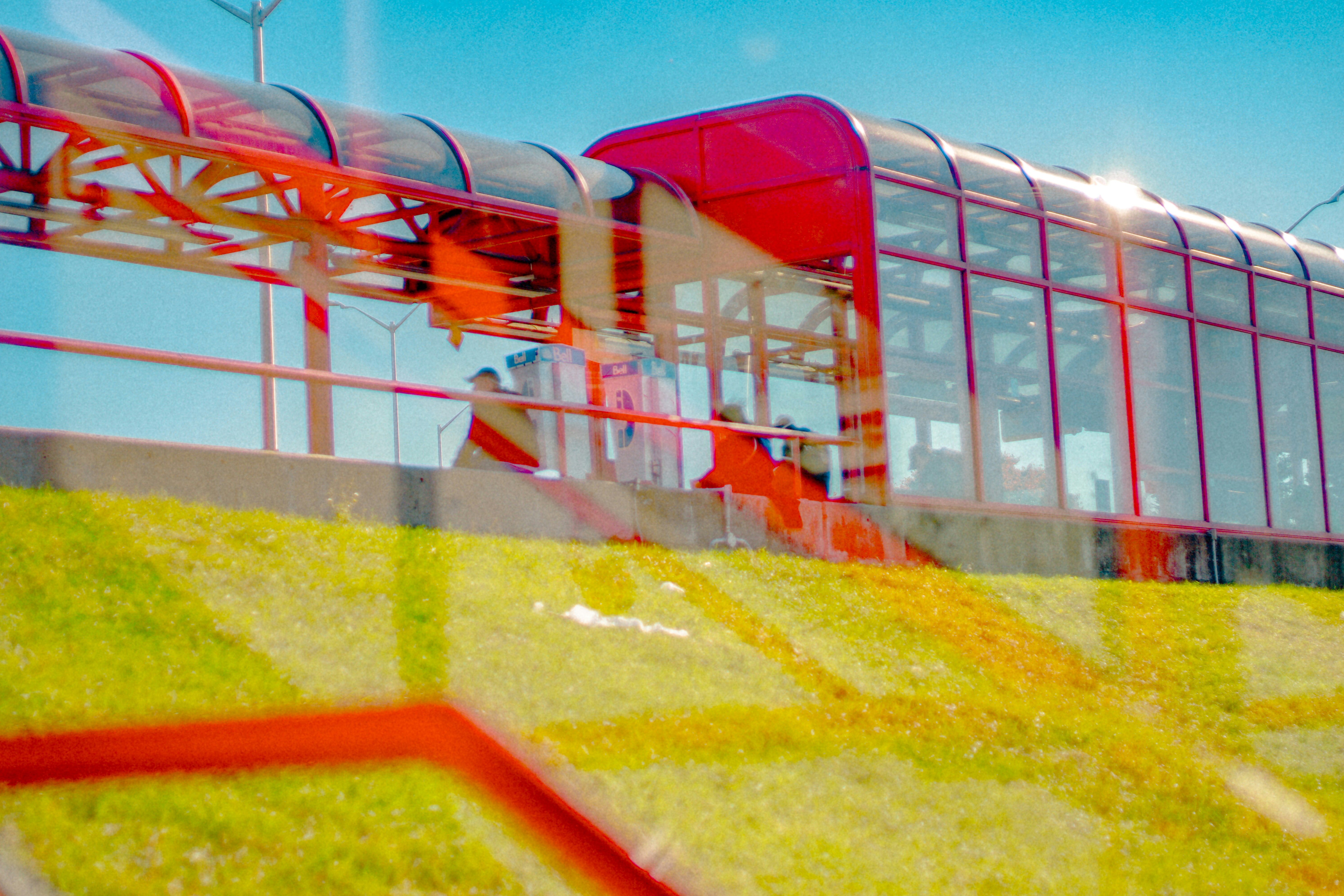 Red-Capped Corridor: a sunlit glass walkway over a grassy slope