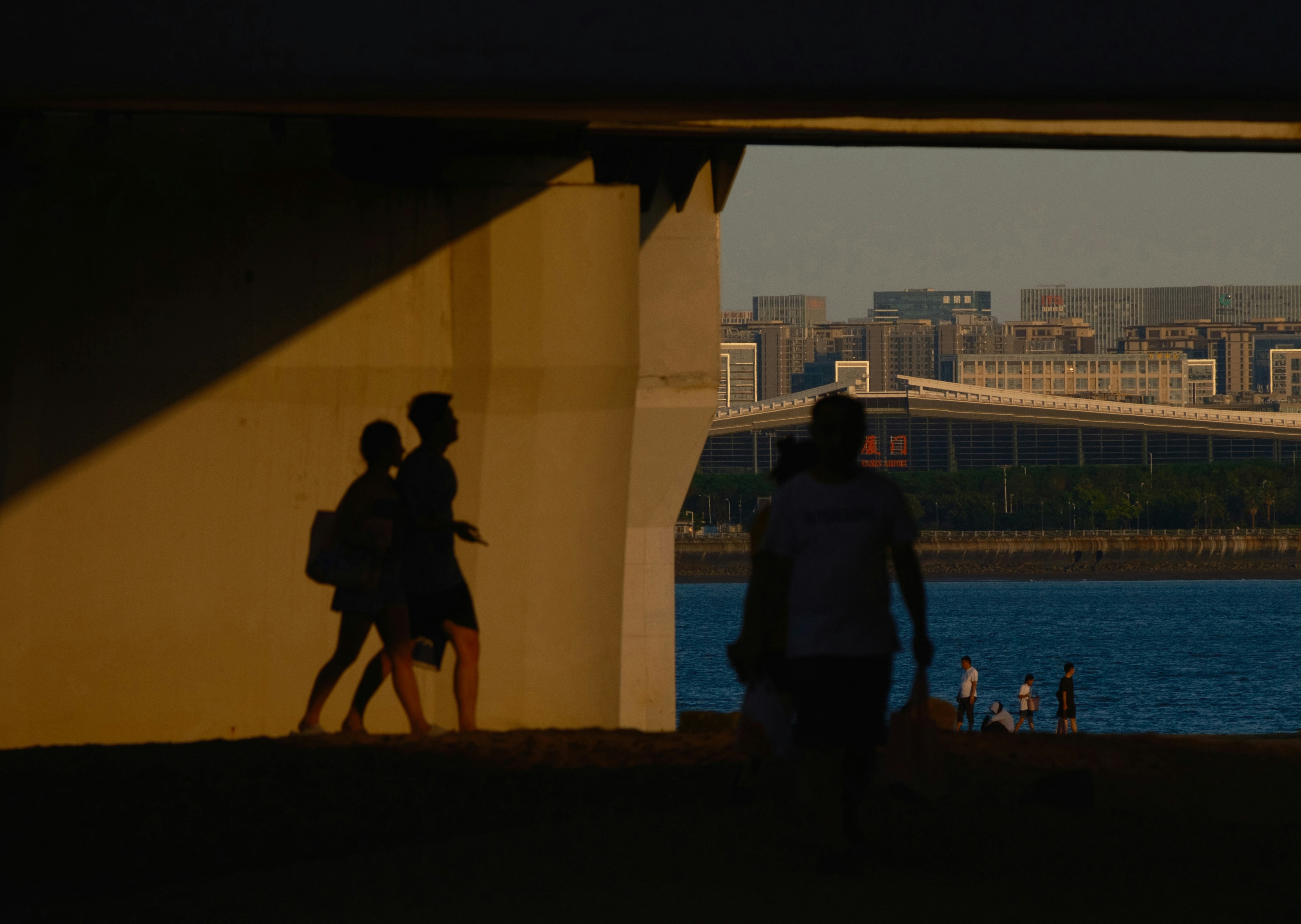 Shadows Under the Overpass: A Quiet River City Walk