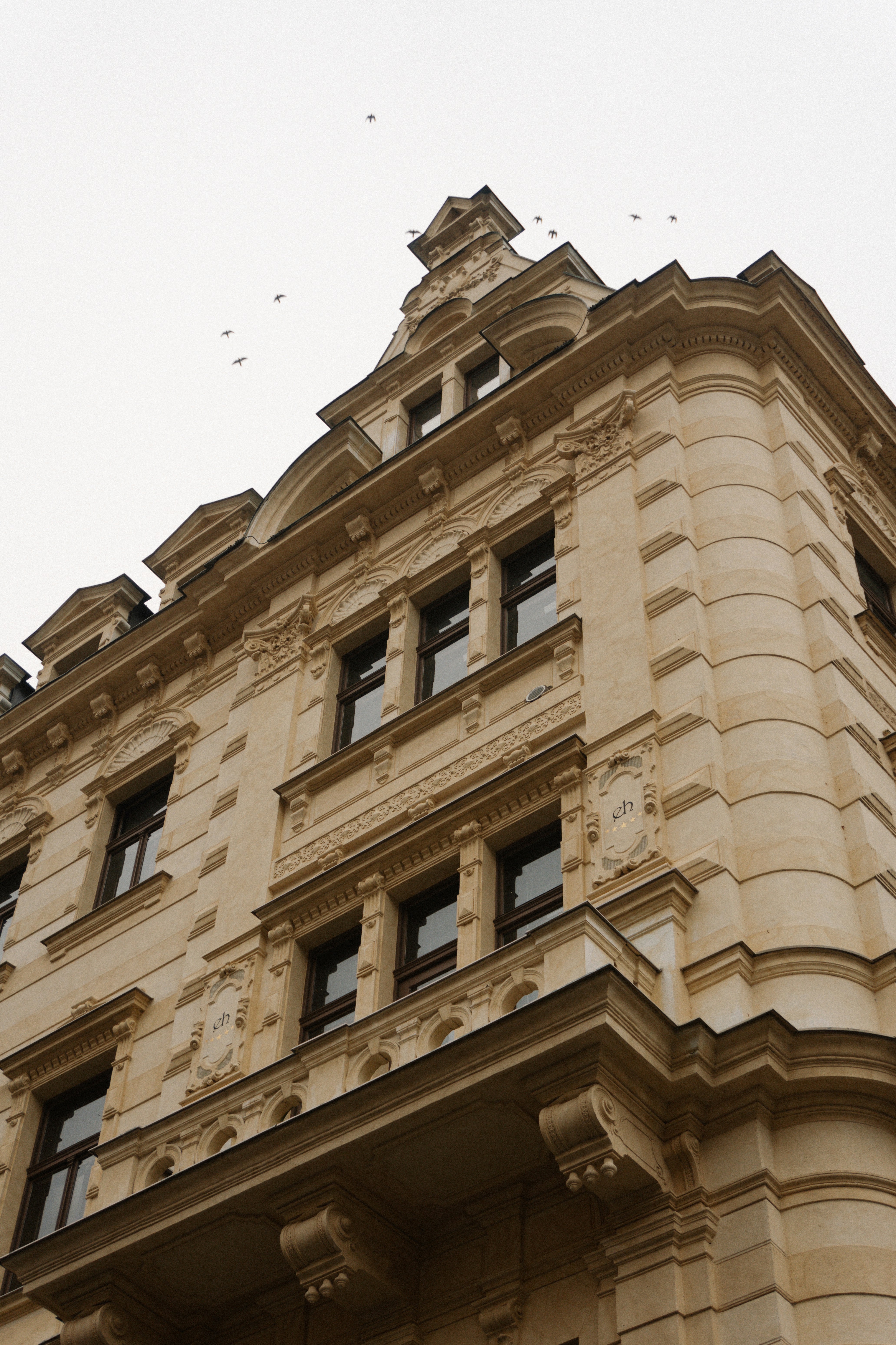 Photo by Raymond Petrik with Sony Sony ZV-E10 II