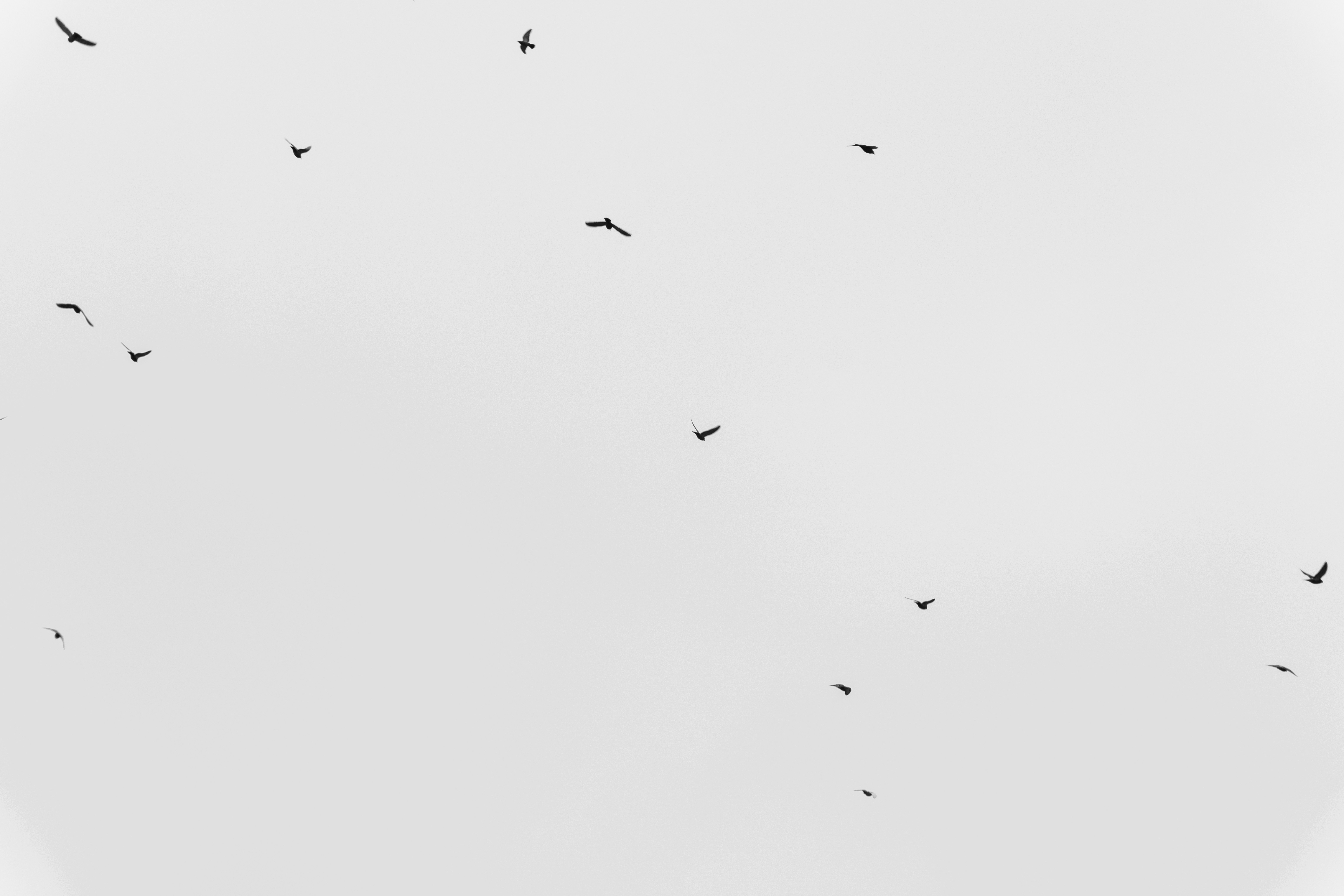 Photo by Raymond Petrik with Sony Sony ZV-E10 II