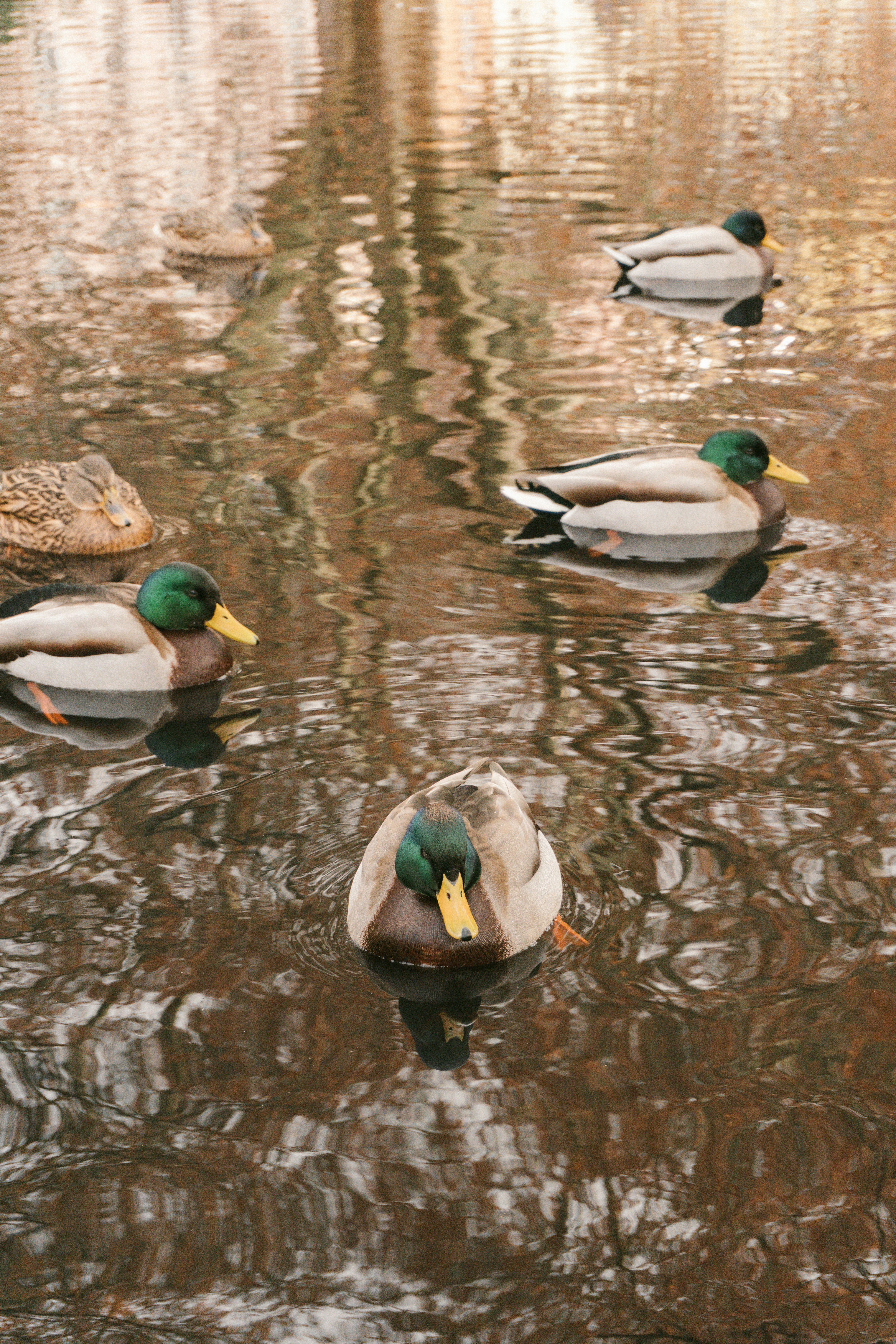 Photo by Raymond Petrik with Sony Sony ZV-E10 II