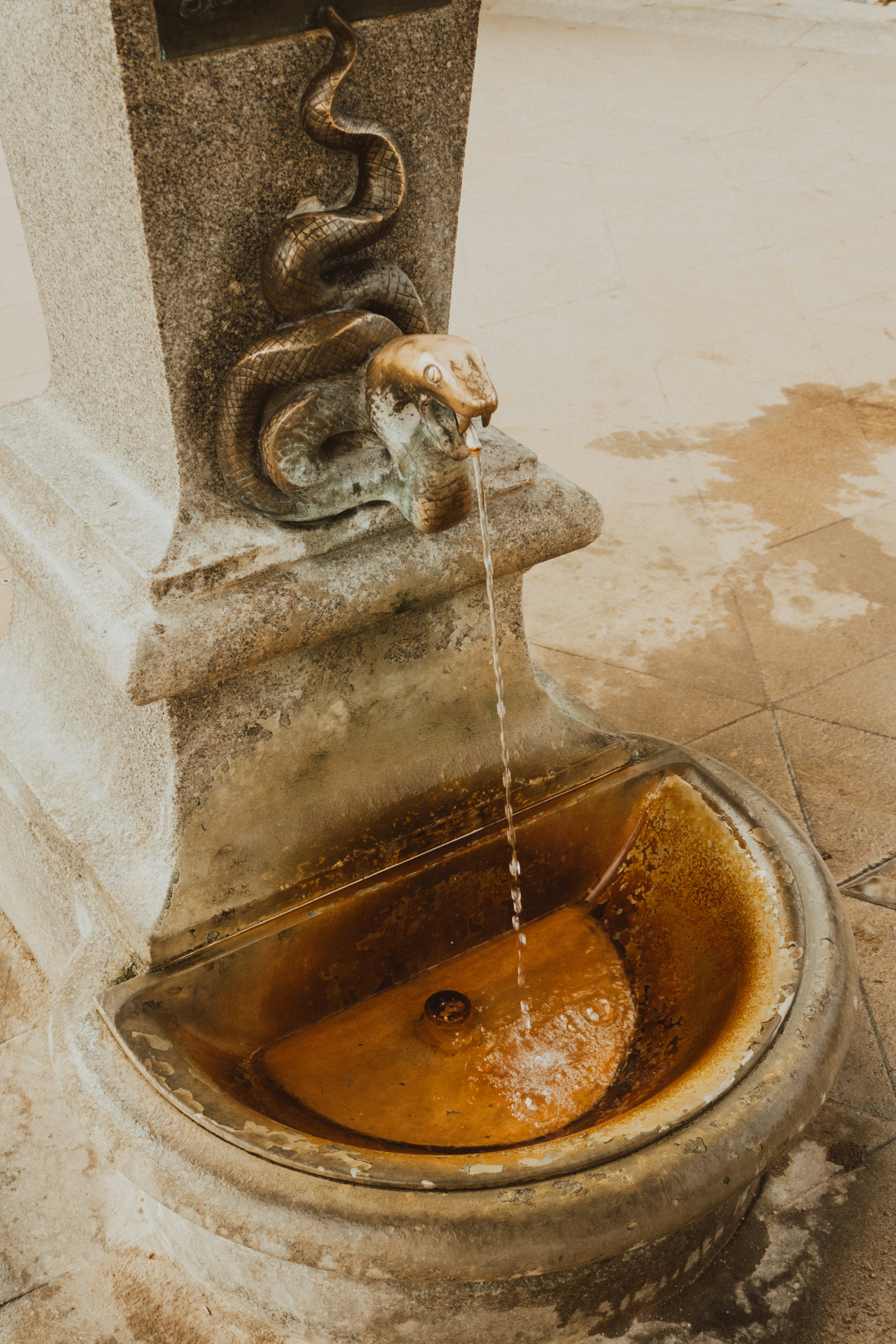 Photo by Raymond Petrik with Sony Sony ZV-E10 II