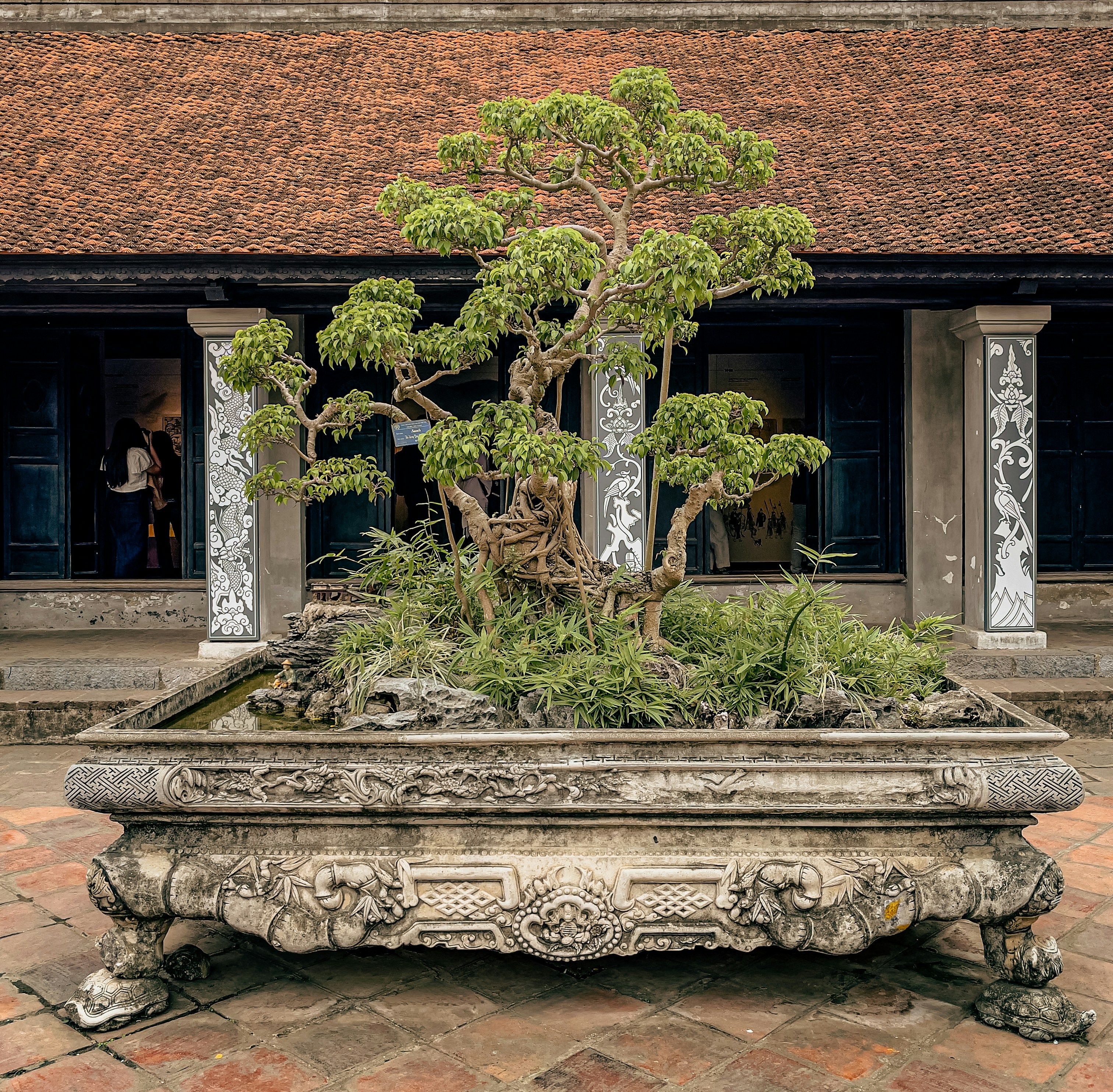 Photo by Bernd 📷 Dittrich with Apple iPhone 12 Pro