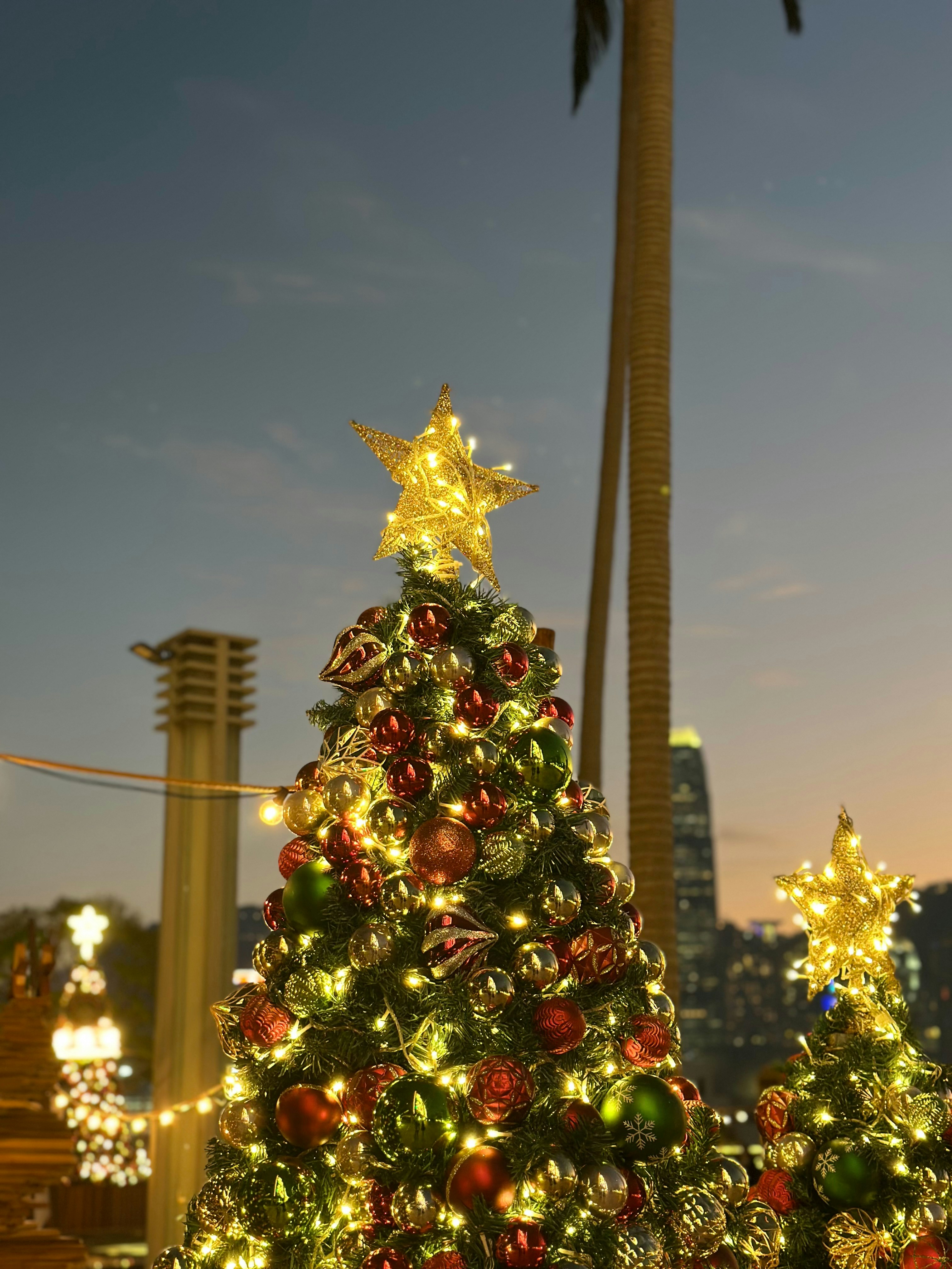 Golden Star atop a Christmas Tree Against an Evening Skyline