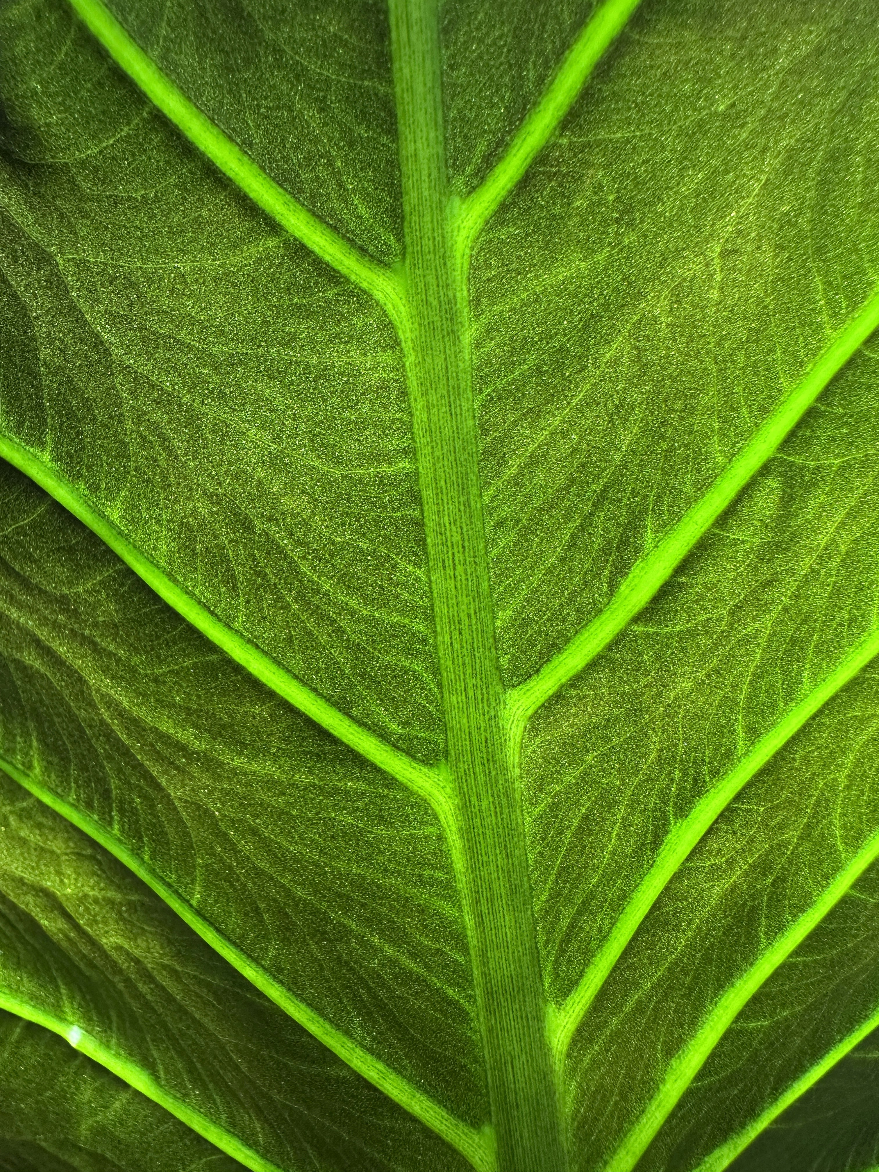 Photo by Christopher Stites with Apple iPhone 14 Pro Max