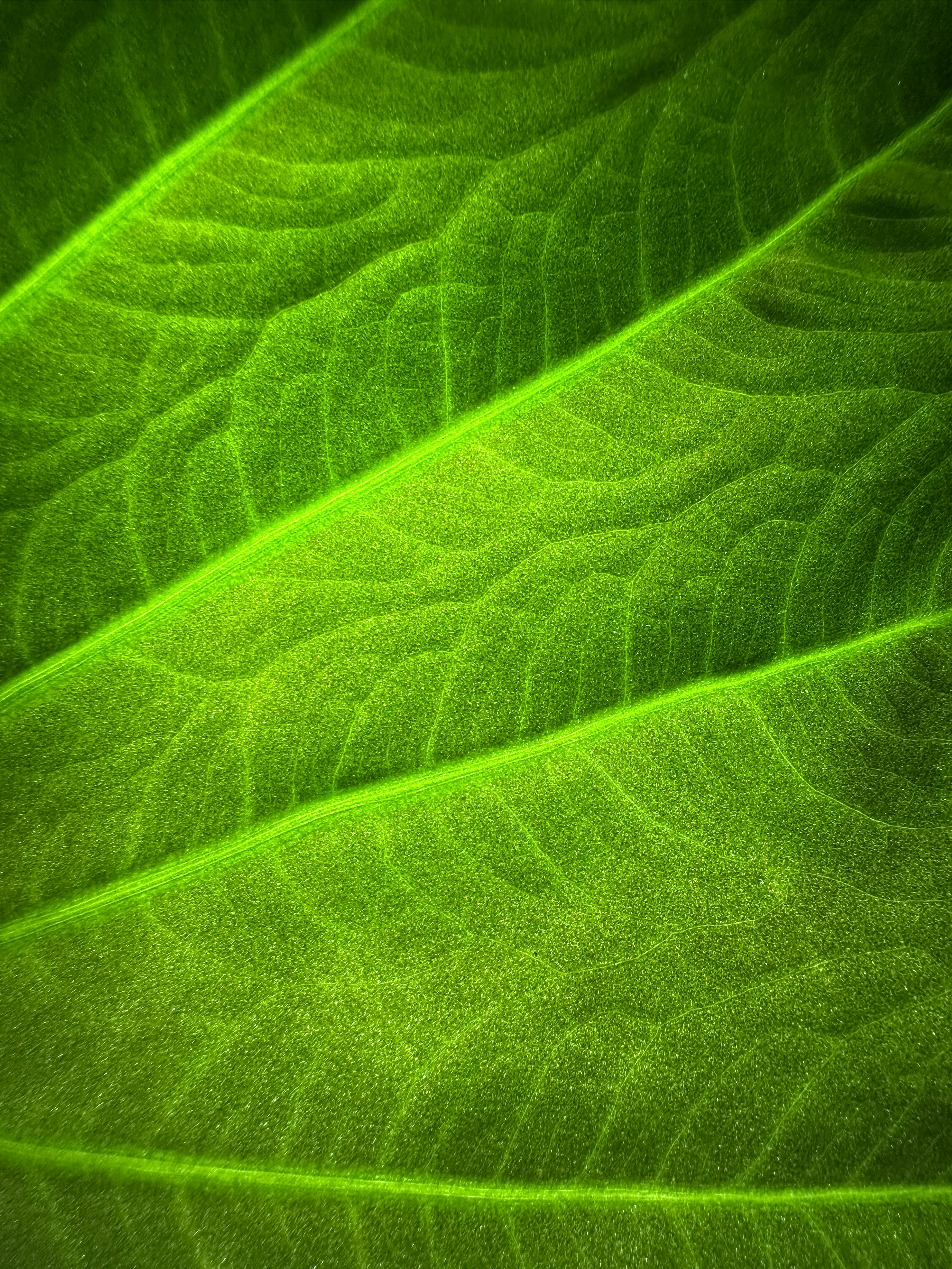 Photo by Christopher Stites with Apple iPhone 14 Pro Max