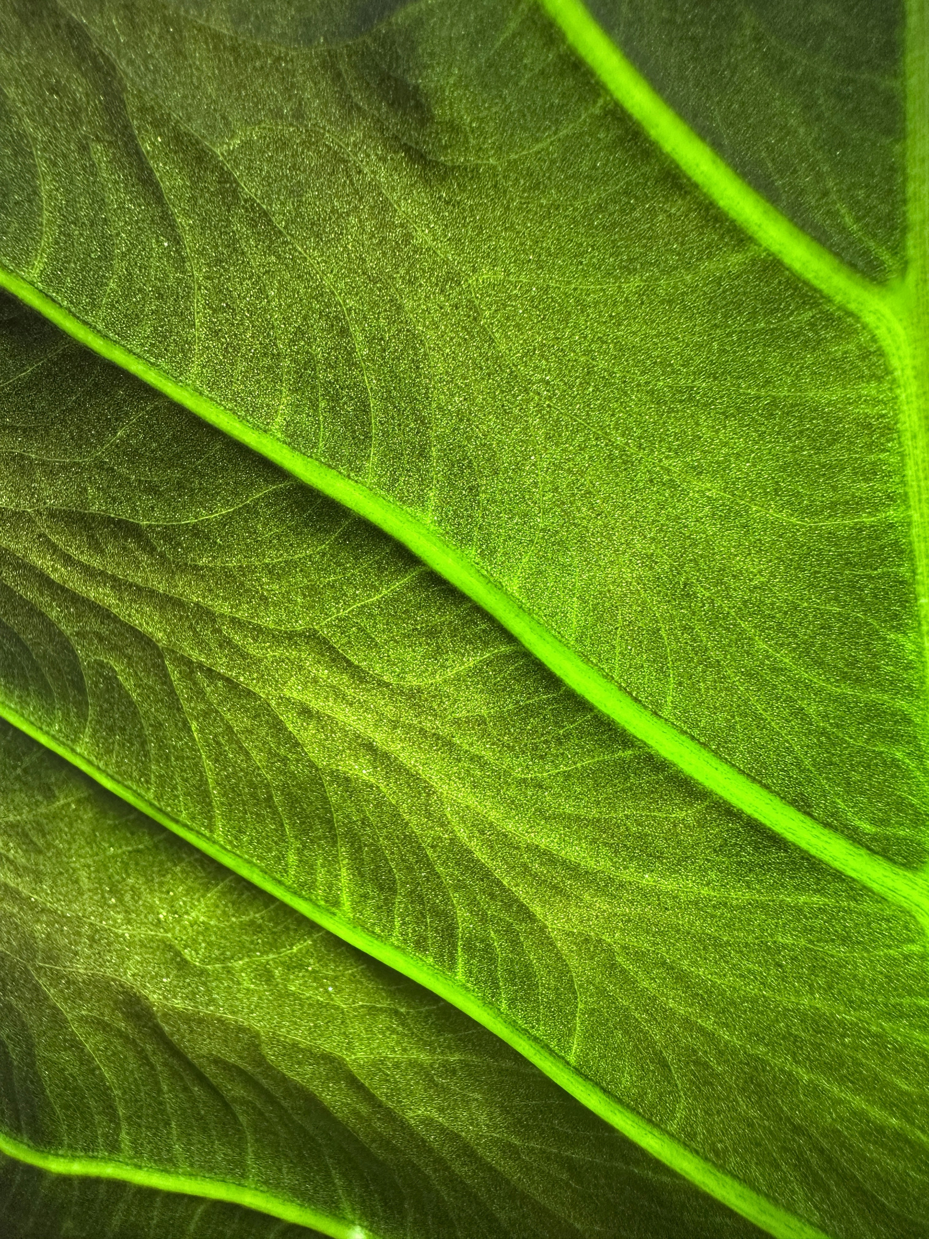 Photo by Christopher Stites with Apple iPhone 14 Pro Max