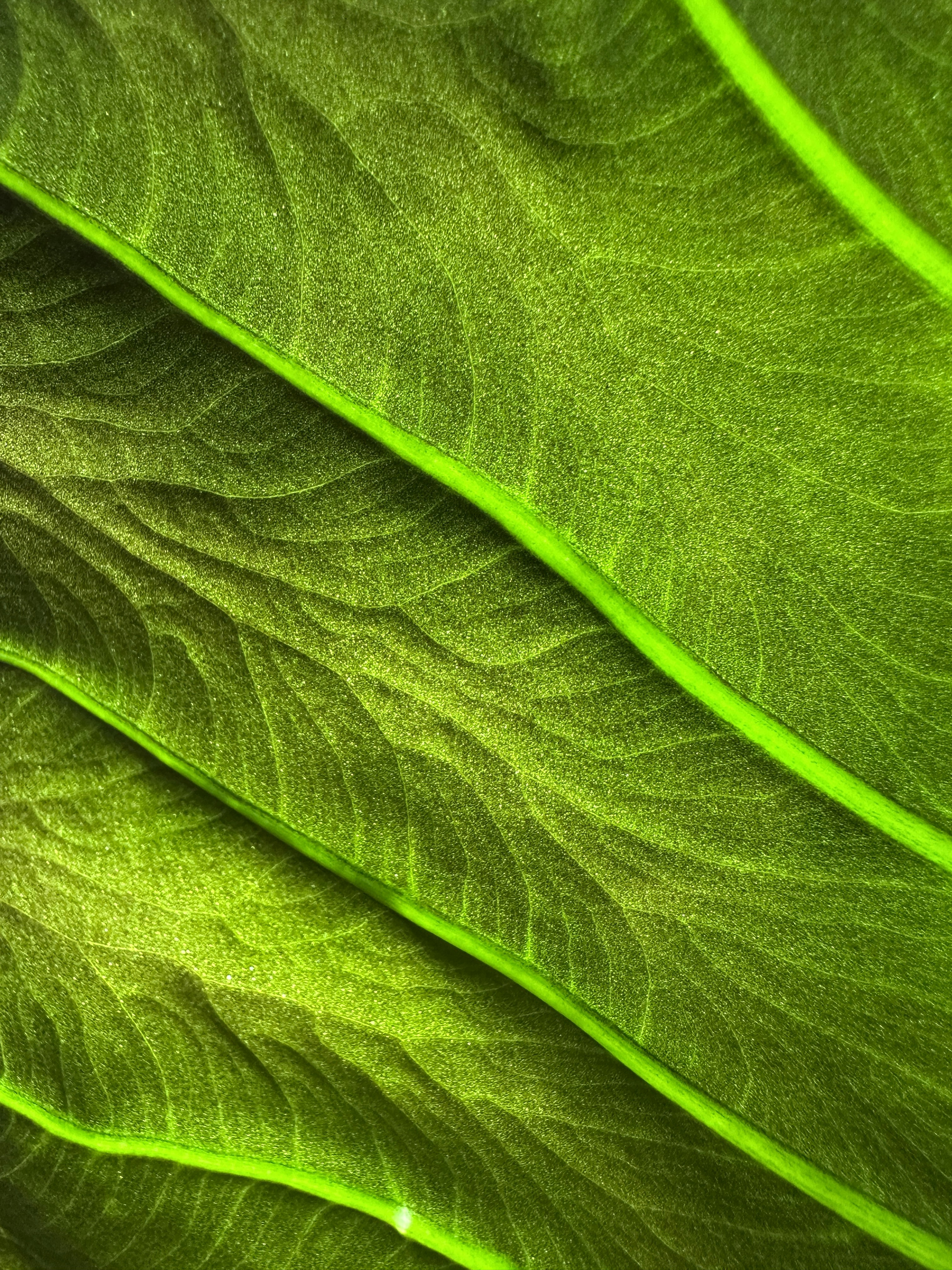 Photo by Christopher Stites with Apple iPhone 14 Pro Max