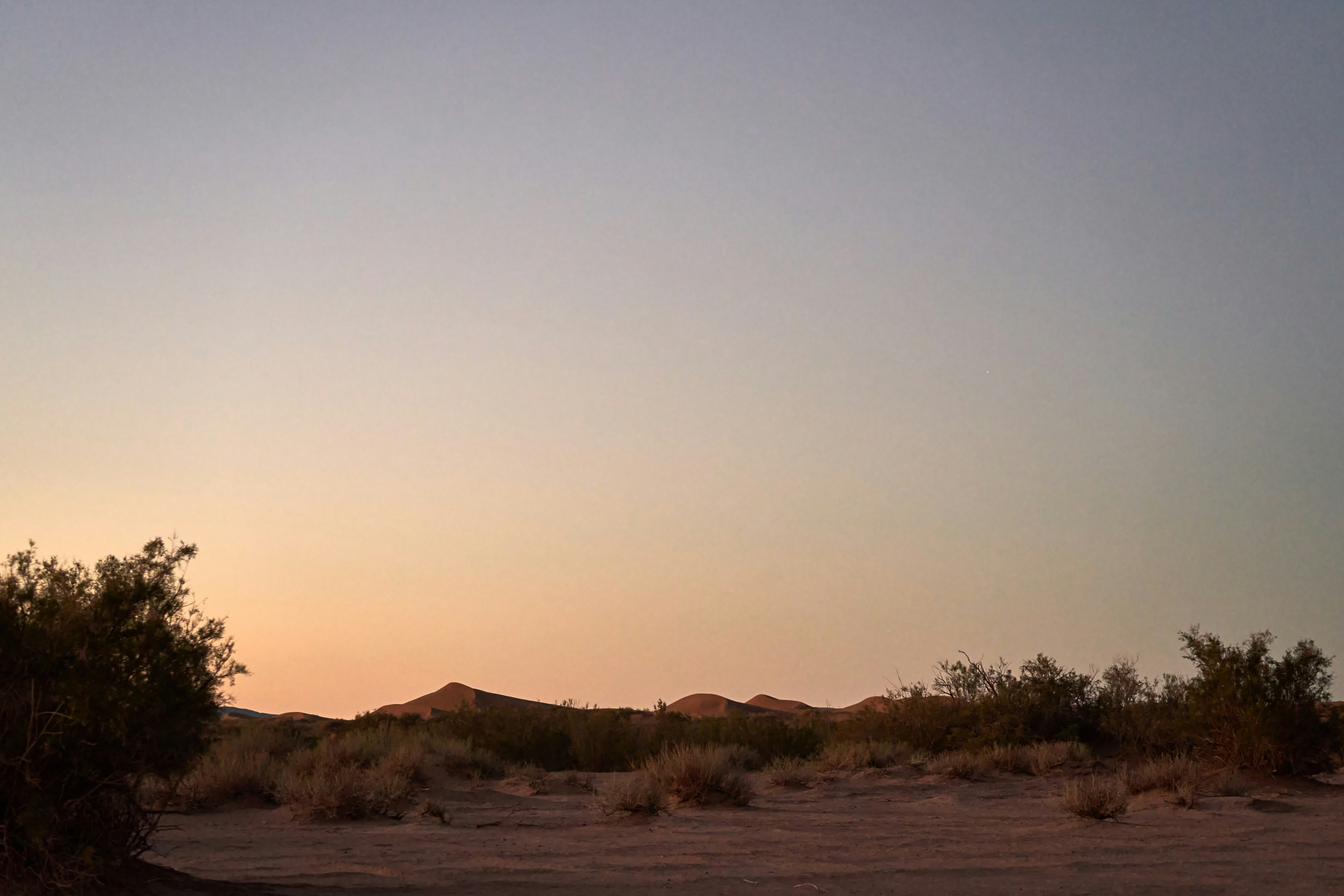 Photo by Wolfgang Hasselmann with Sony Alpha 7 III