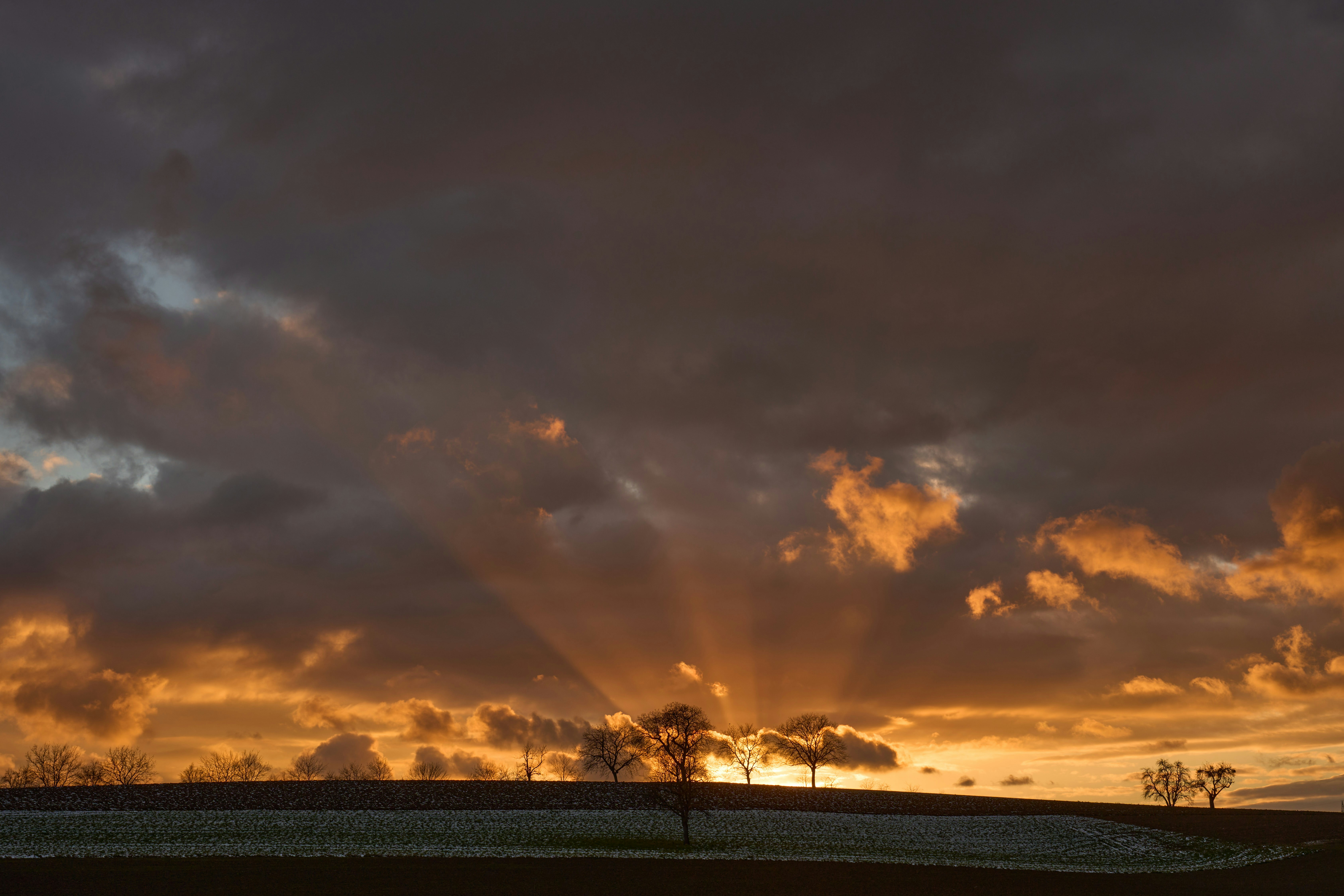 Photo by Wolfgang Hasselmann with Sony Alpha 7 IV
