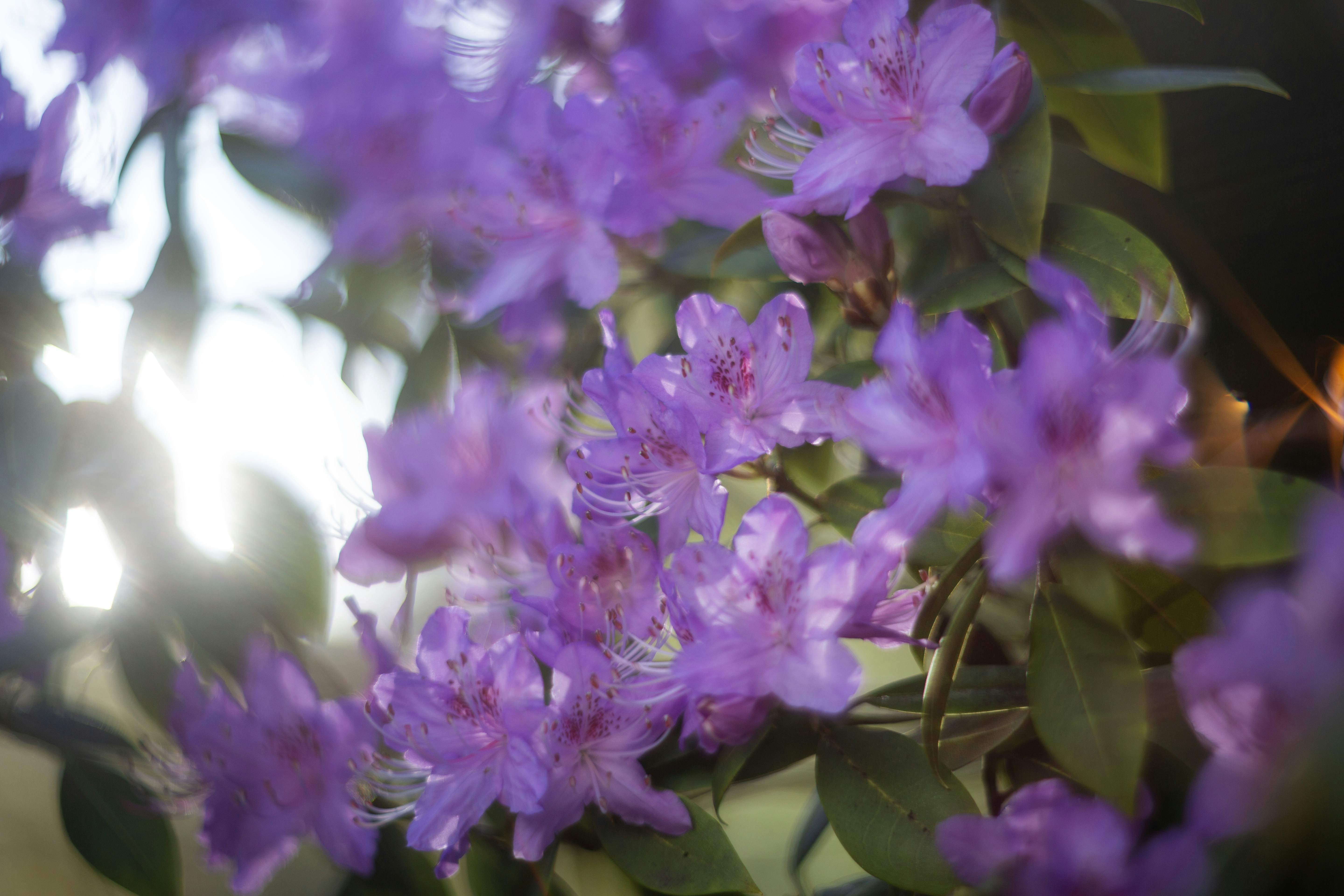 Photo by Marina Nazina with Canon EOS 5D Mark III