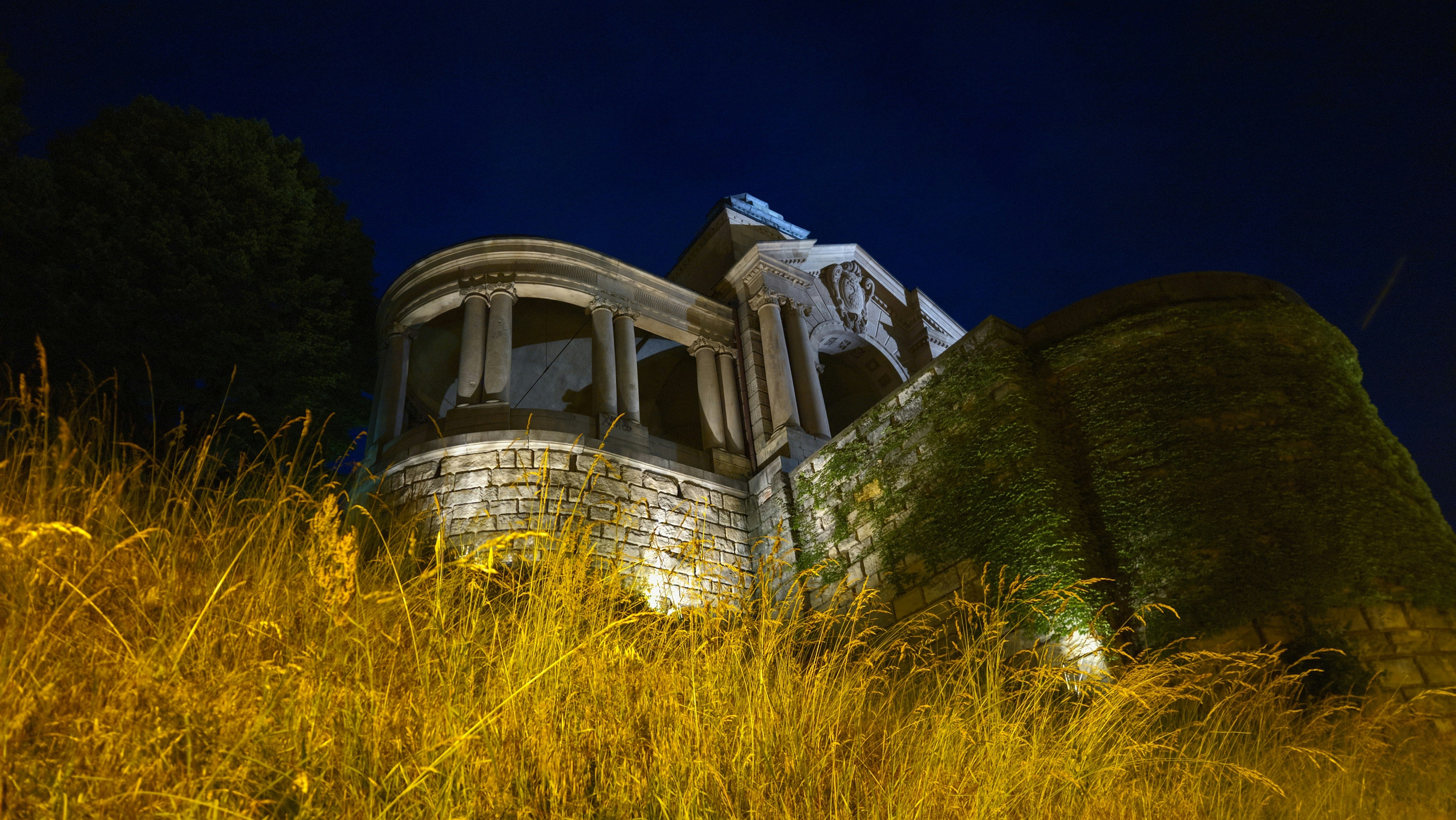 Moonlit Ruins: Gilded Grass and a Silent Arch