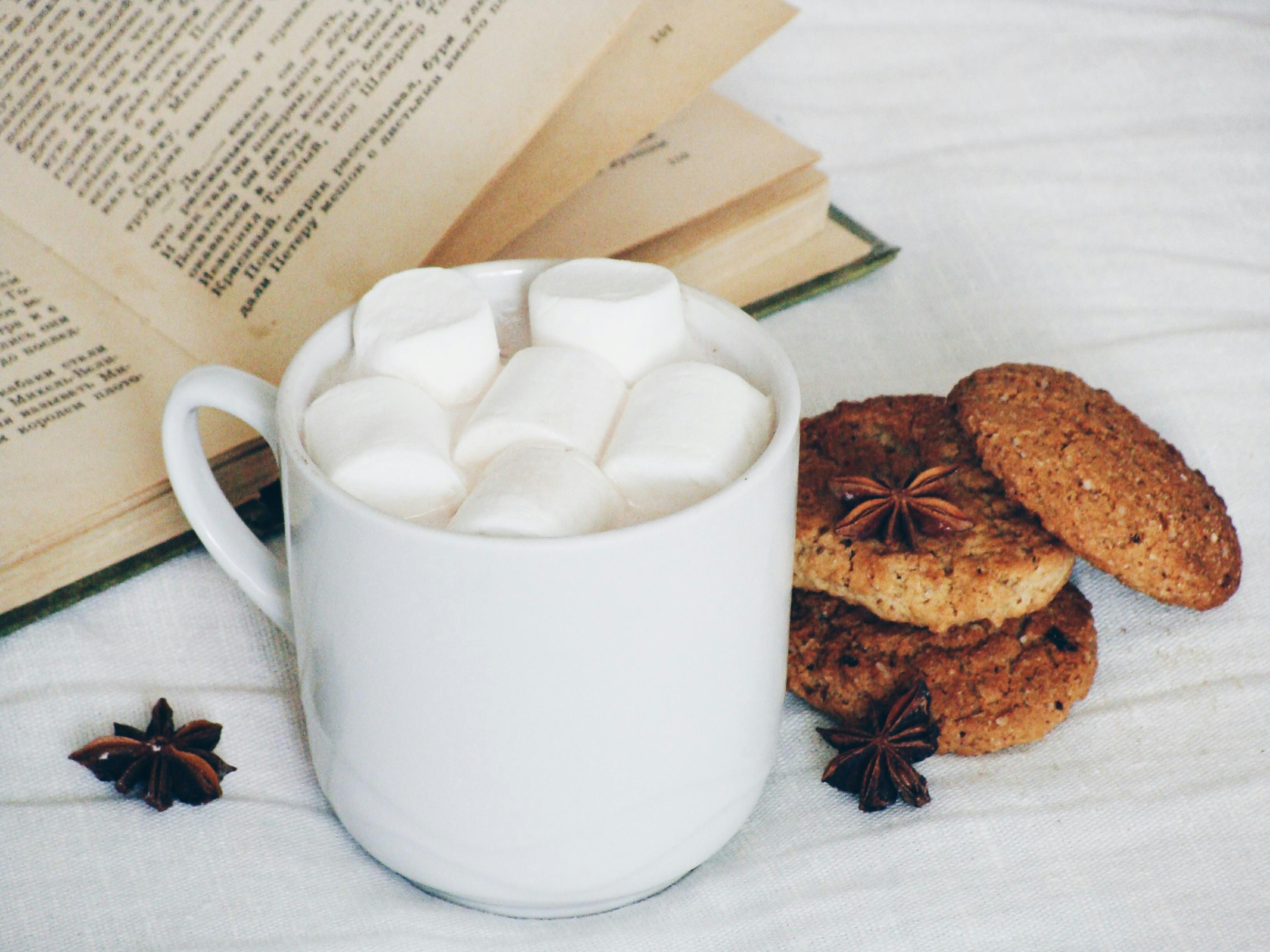 Warm Mug, Bookish Sweets: Marshmallows and Cookies in Cozy Light
