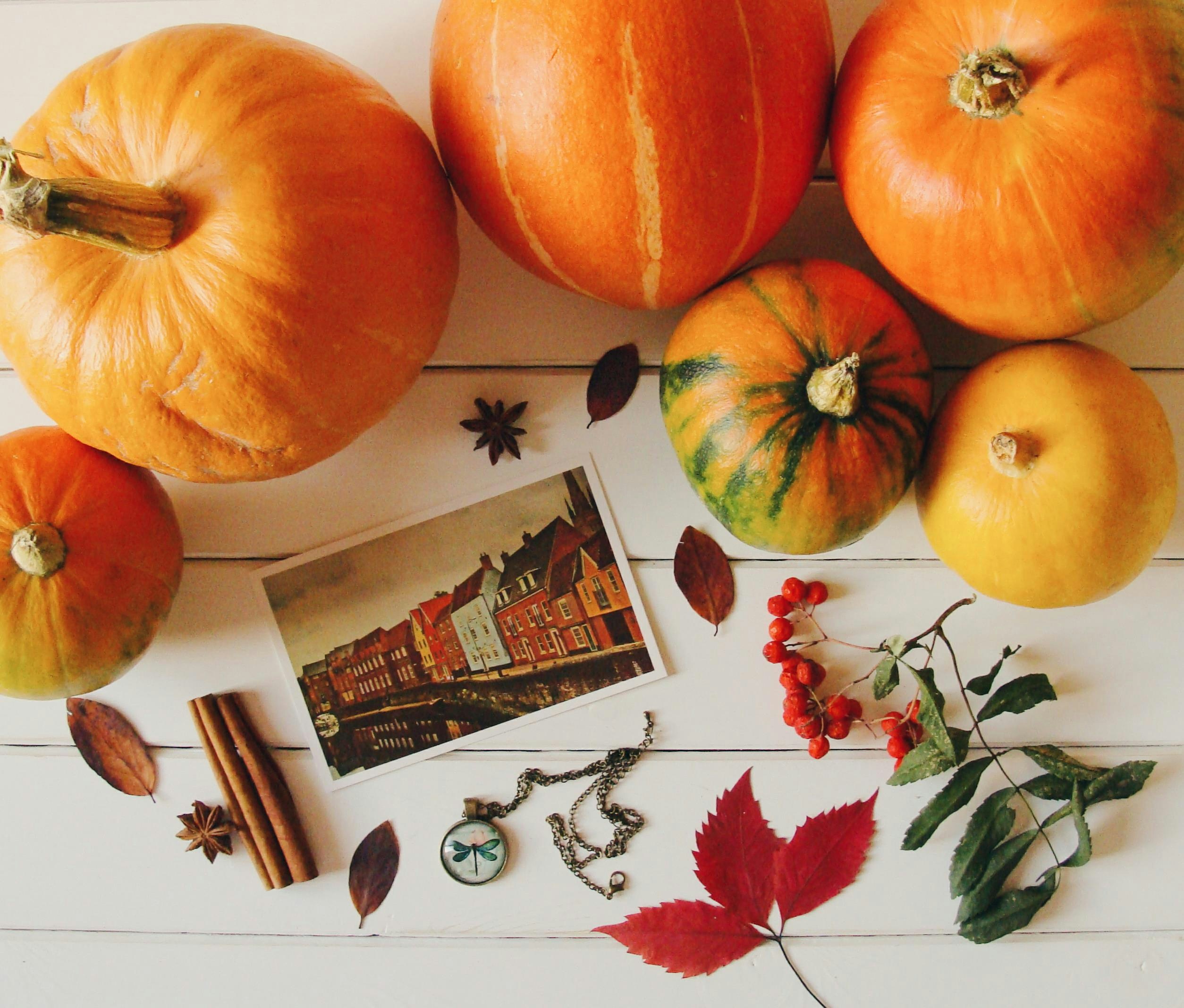 Autumn Still Life: Pumpkins, Postcard, and Cinnamon Stillness