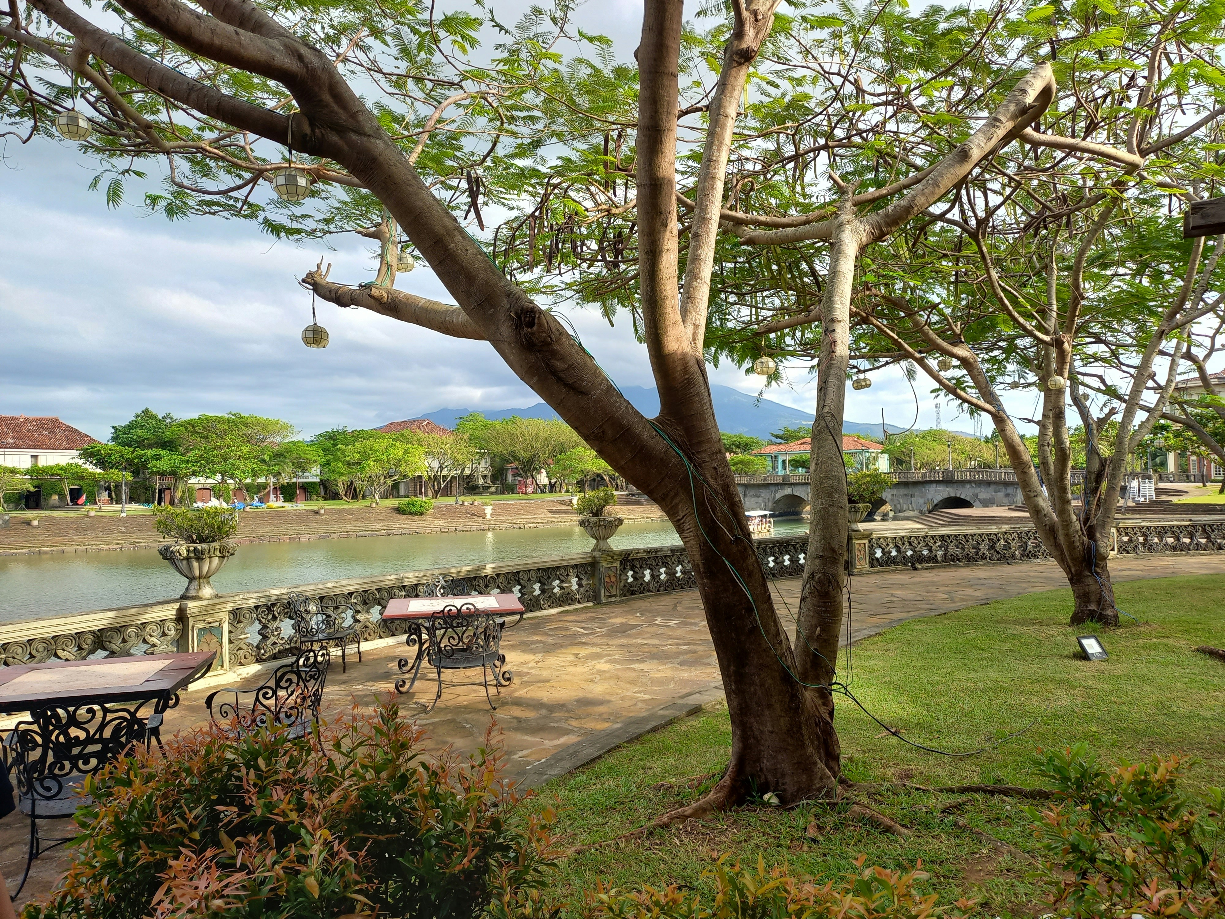Trees and river with a mountain in the distance.