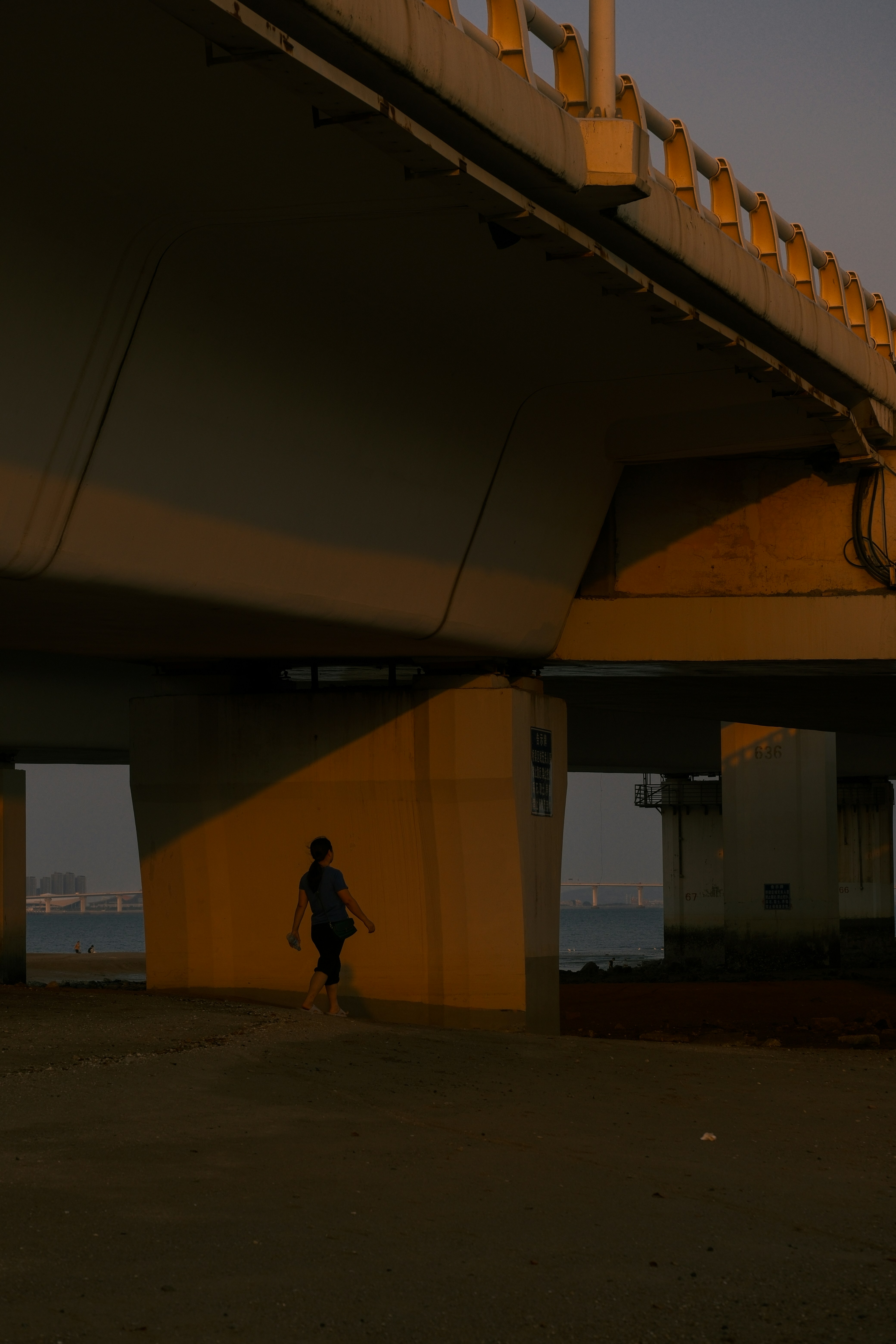 Under the Golden Span: A lone Runner Beneath the Bridge