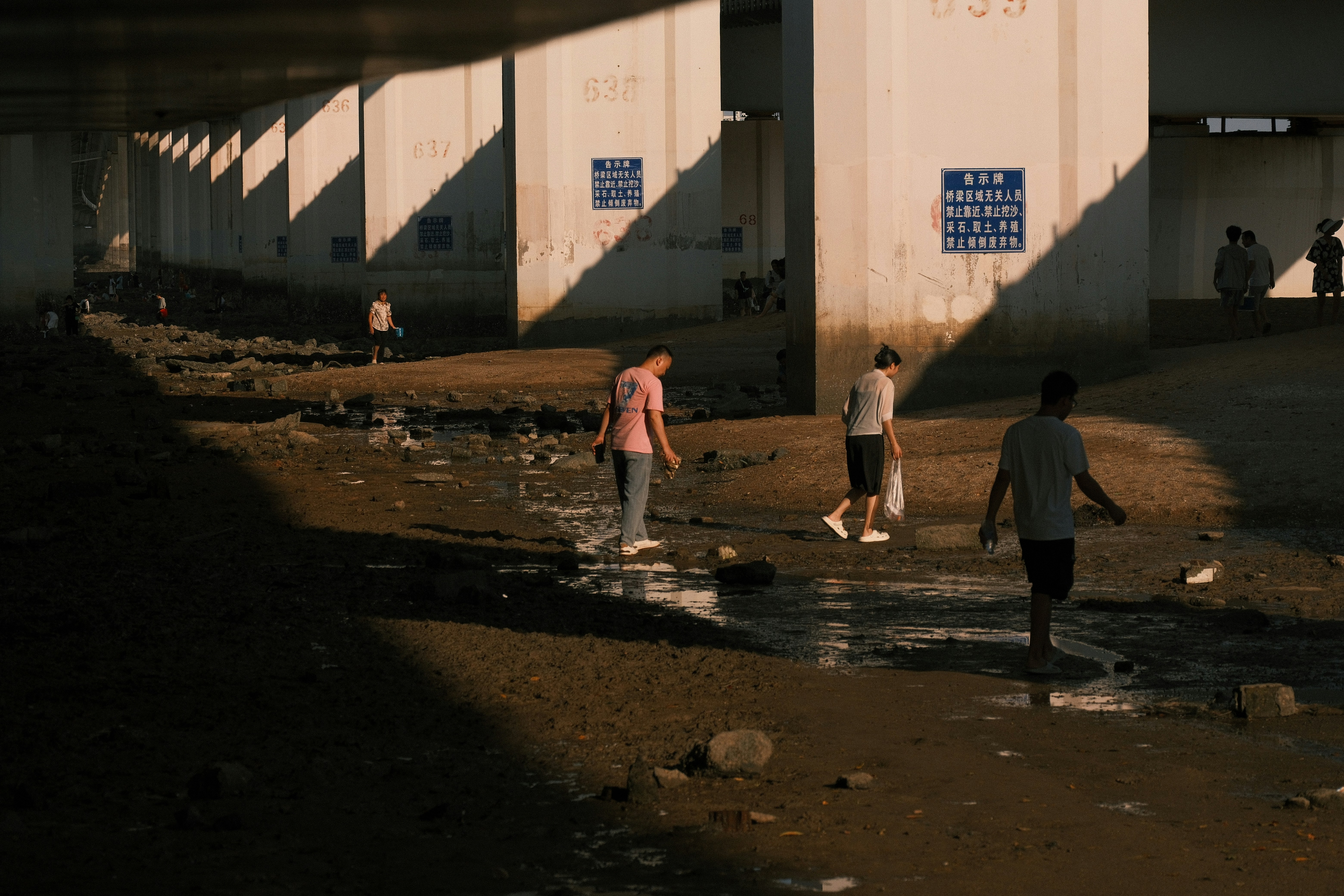 Shadows and Steps: People Traverse a Sunlit Channel beneath a Pier