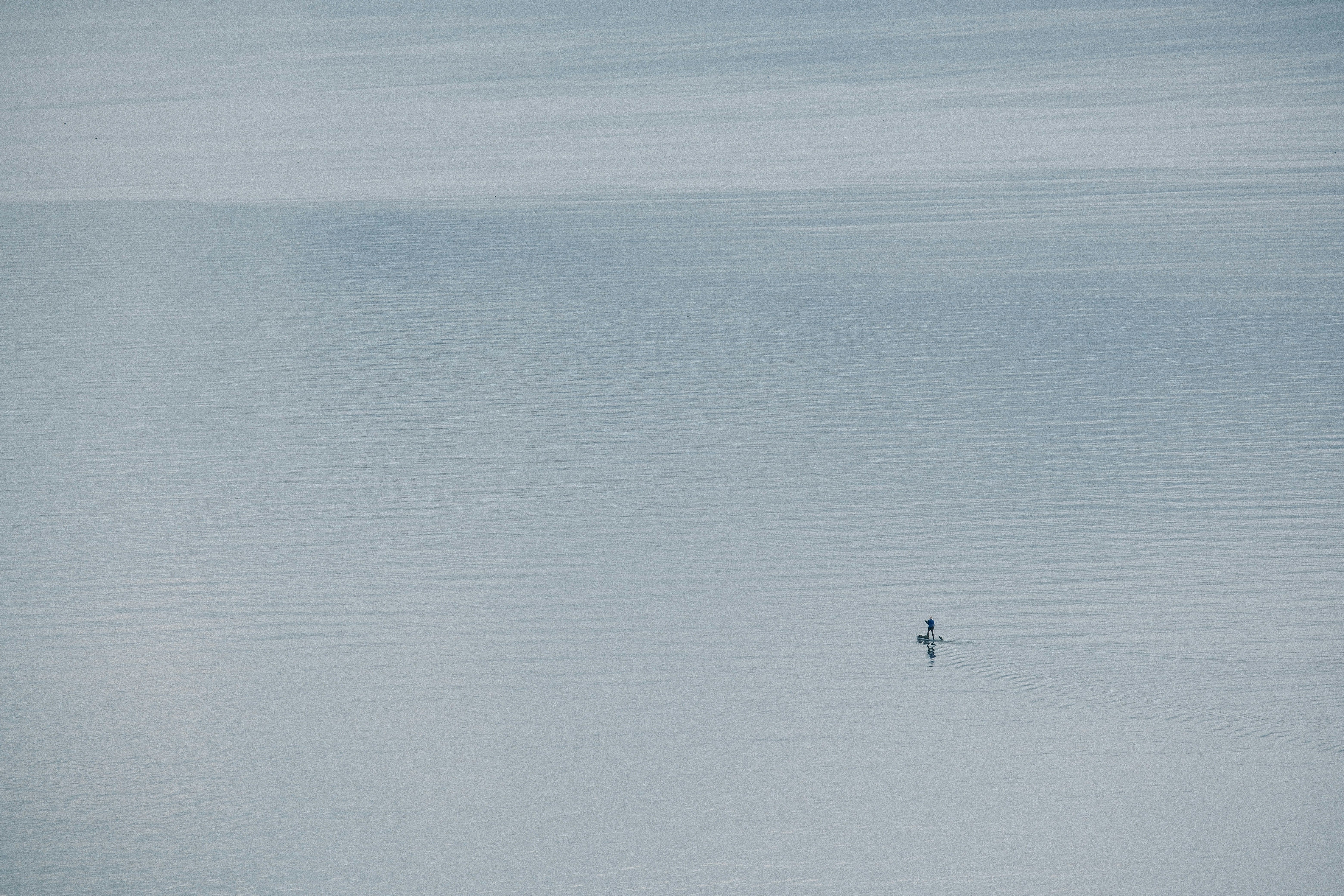 A single bird swims on a large body of water photo – Free Sea Image on ...