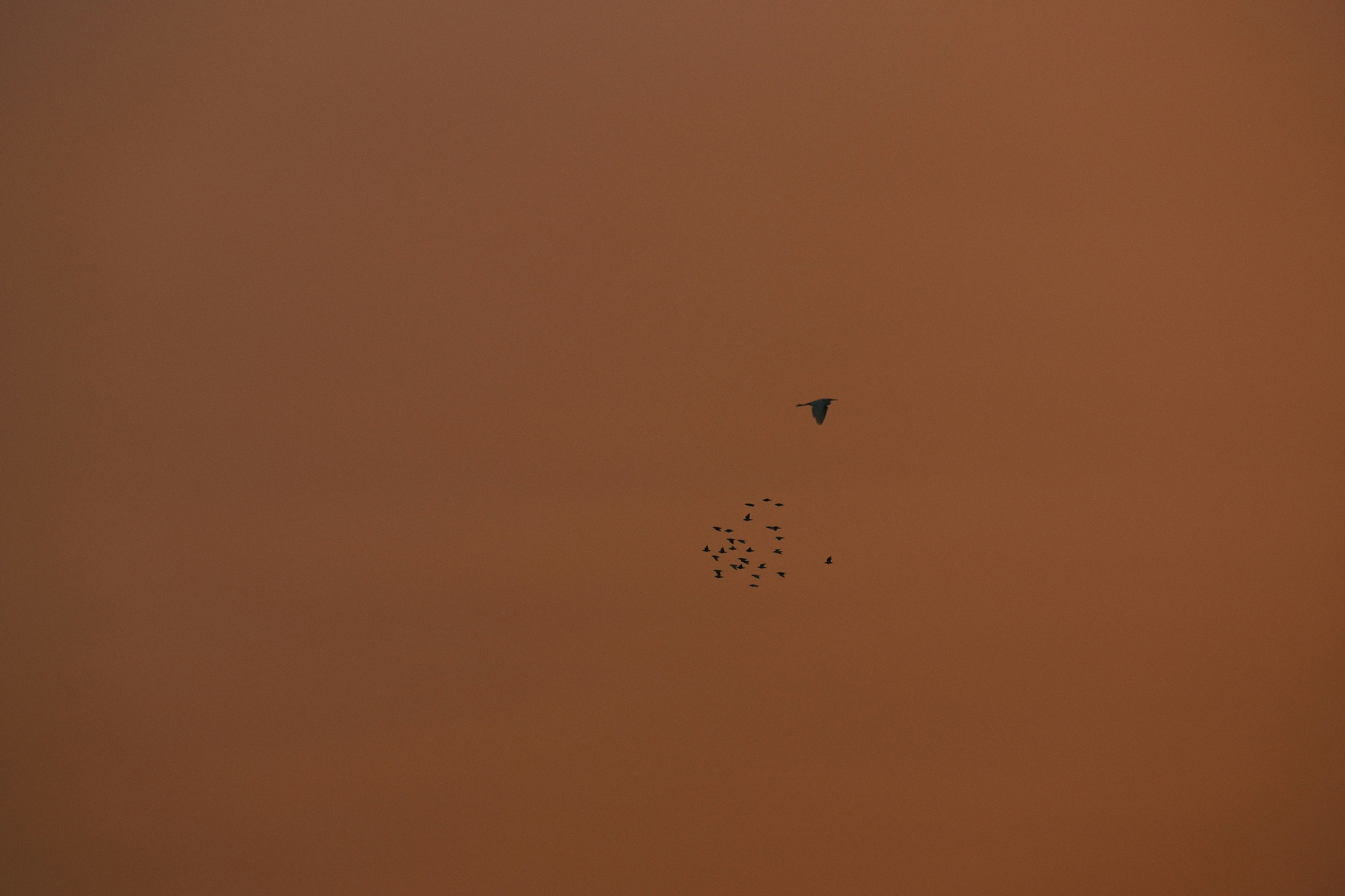 A Flight of Notes Against a Copper Sky