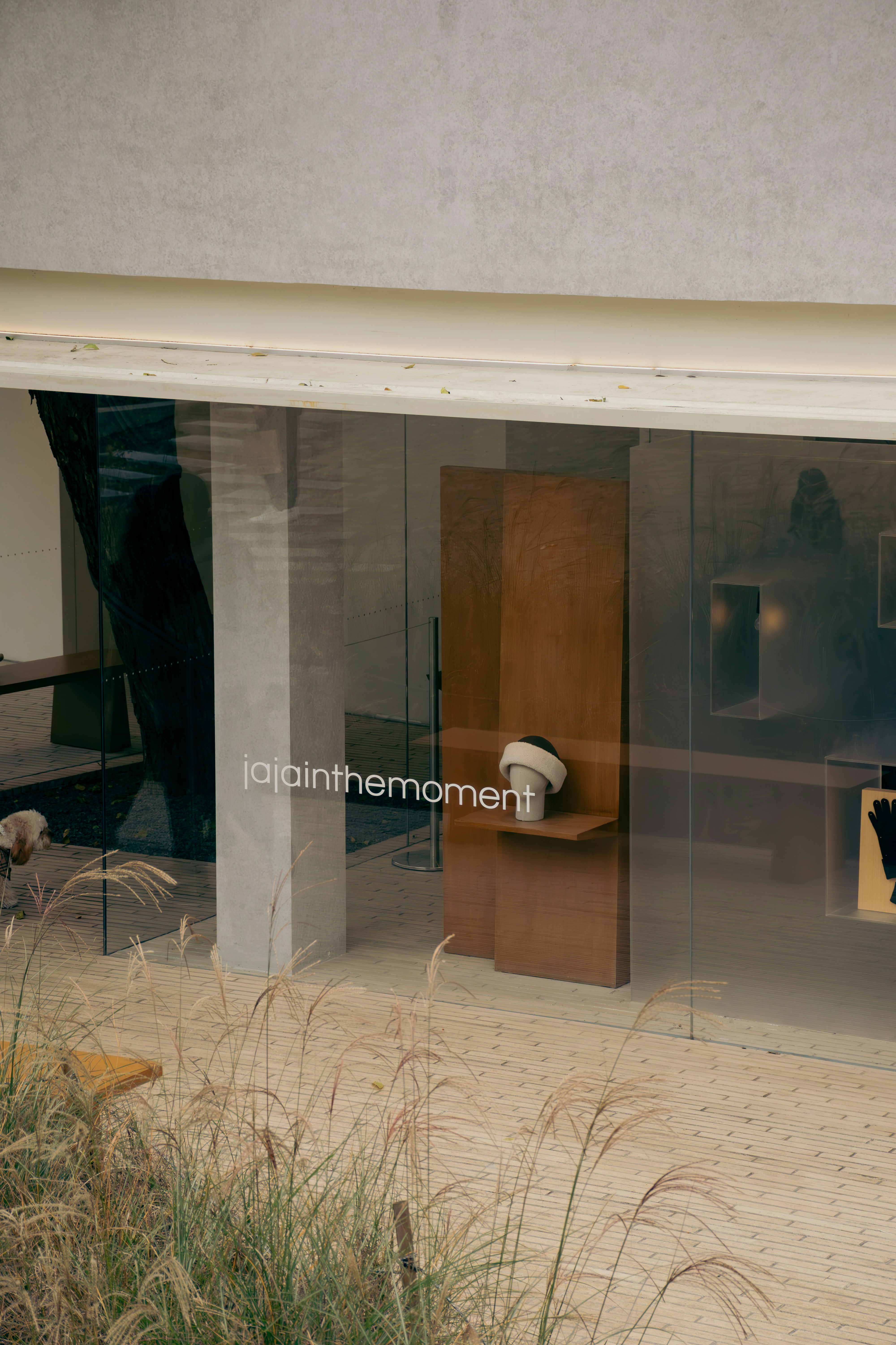 Minimalist storefront glare: a quiet gallery of shapes and text