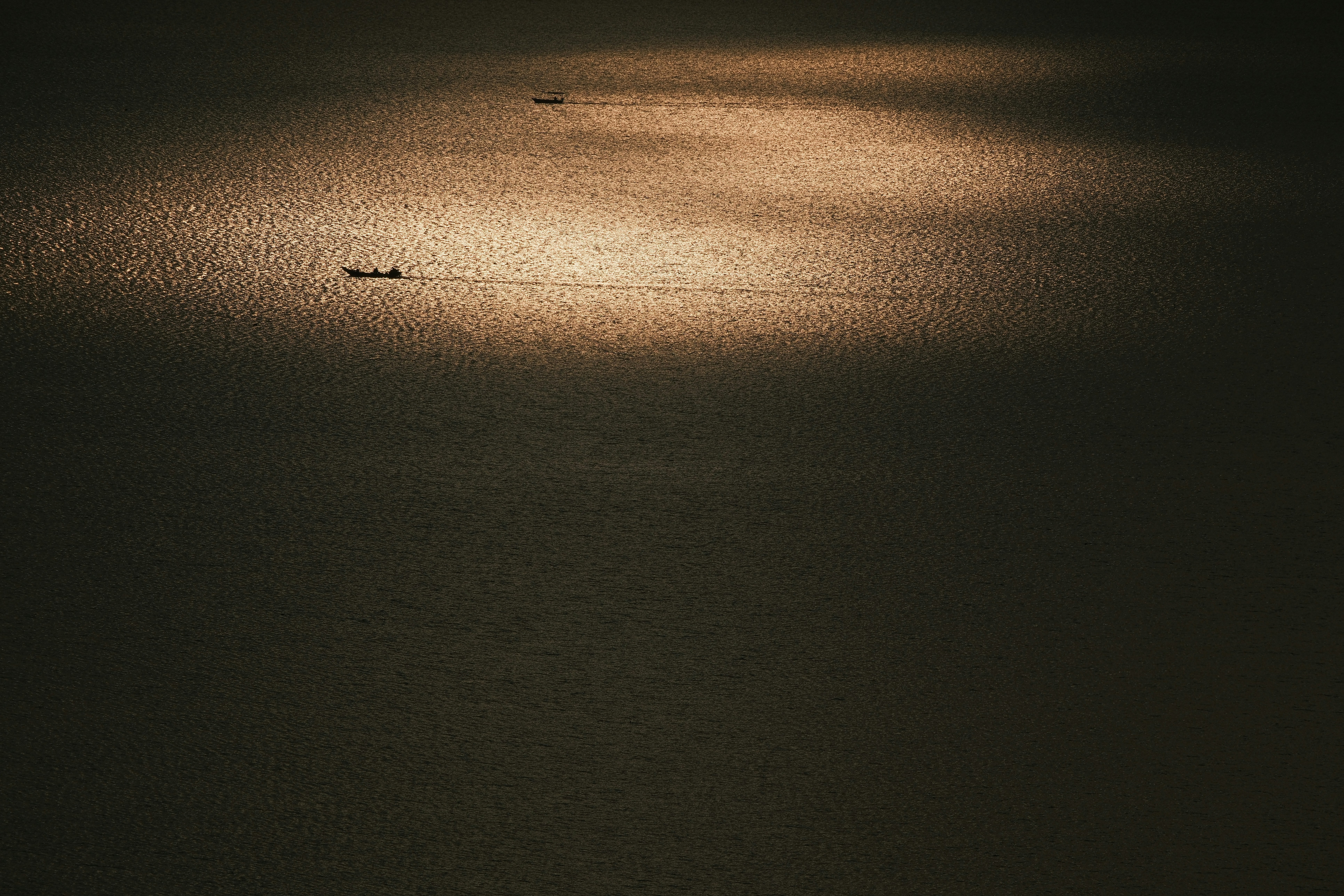 Glinting Horizon: Robins on a Quiet Dusk Mantle