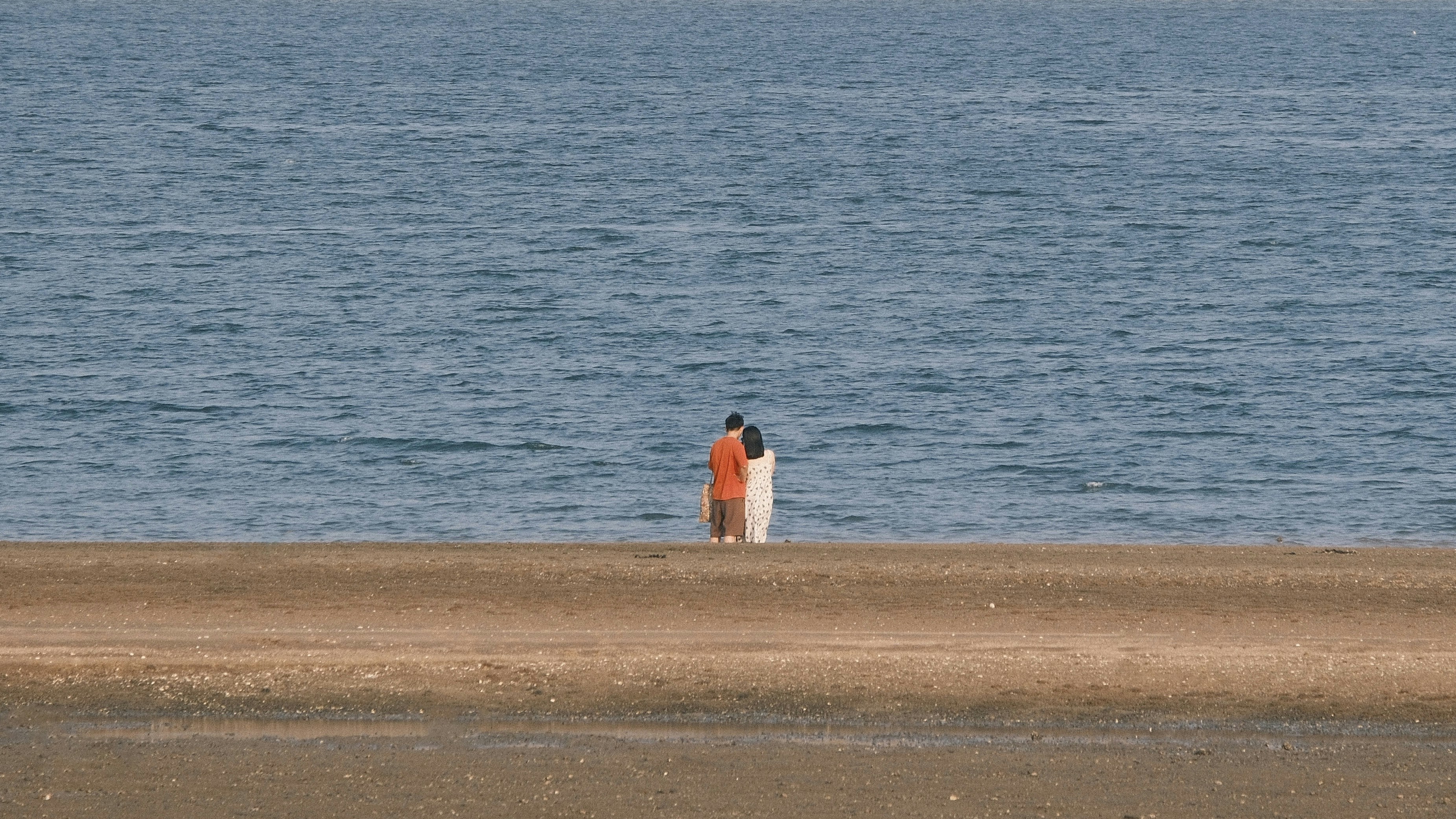 Close Companions at Dusk: A Quiet Moment by the Sea