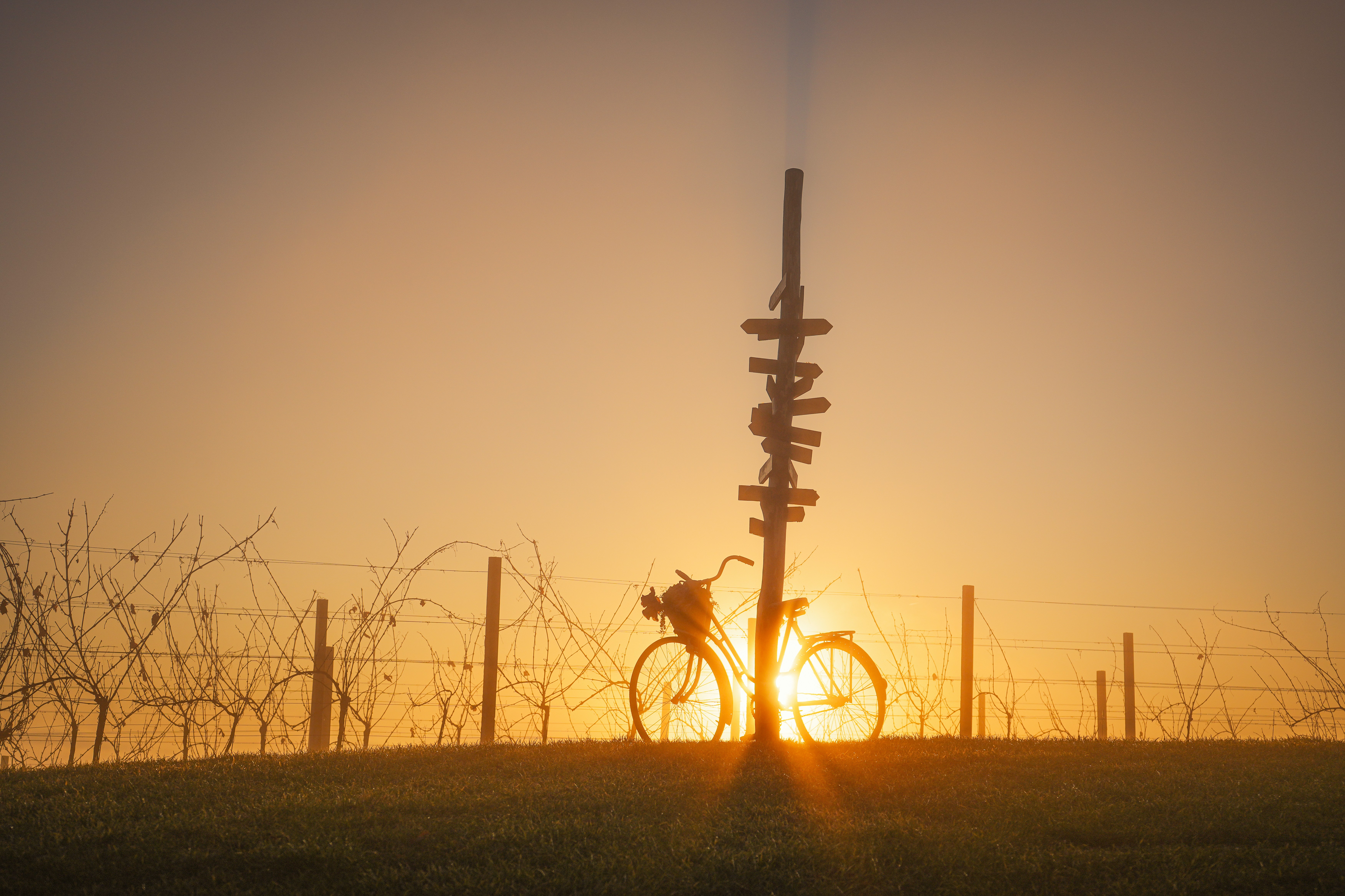 Photo by Nikola  Tomašić with Sony Alpha 7 IV