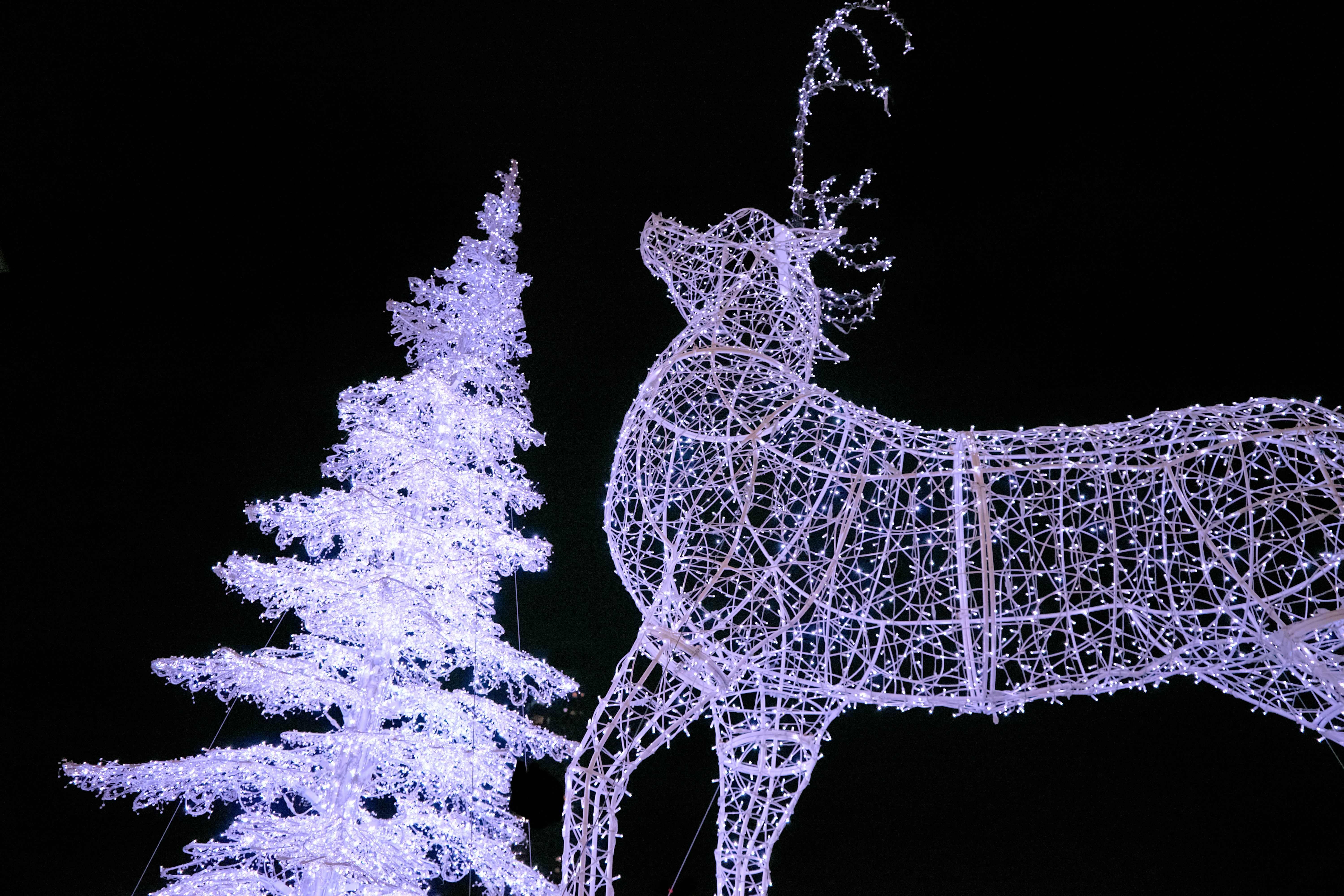 Glowing Reindeer Silhouette Against Night Sky