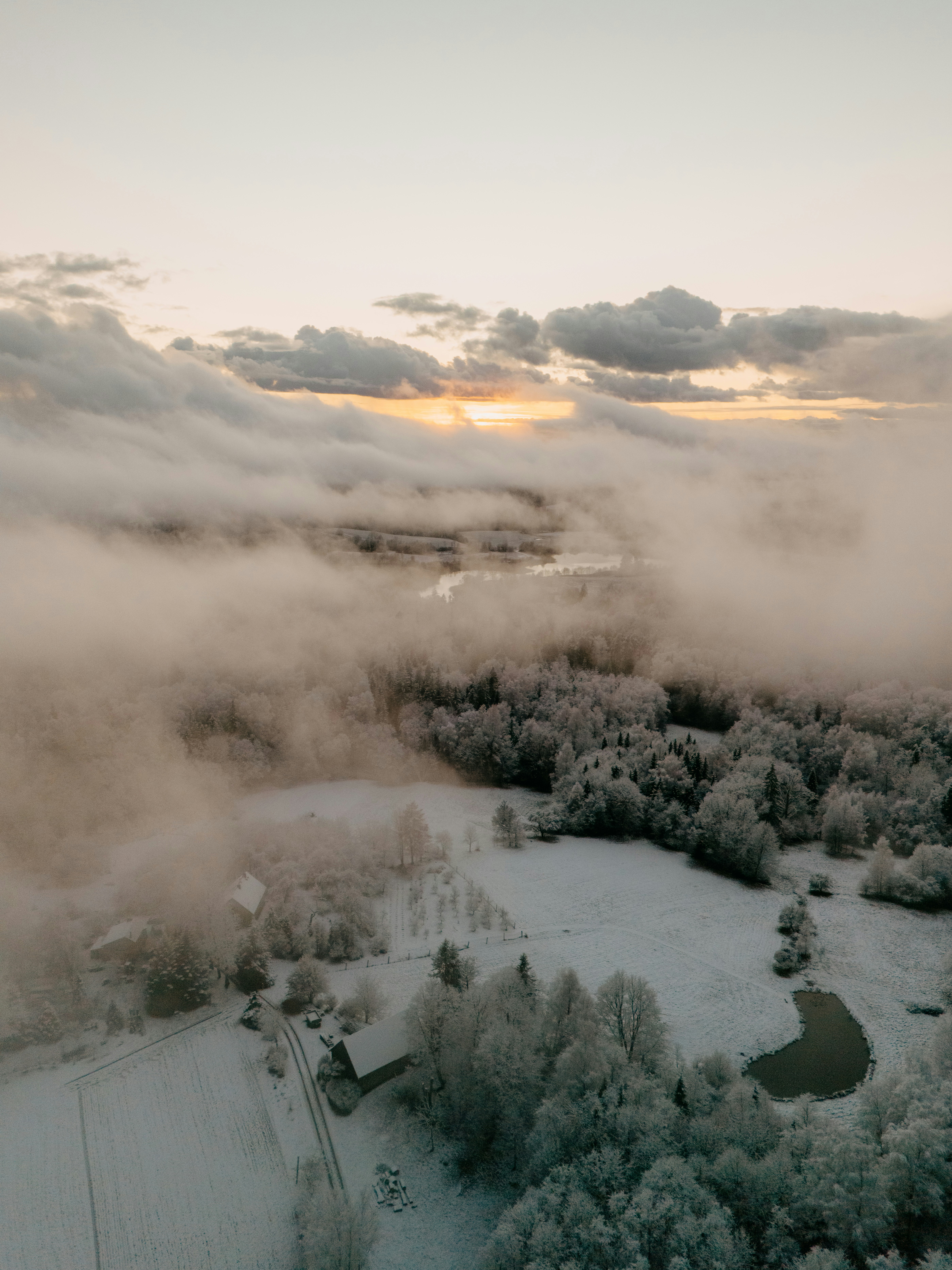 Winter landscape with fog and snow-covered trees. photo – Free Forest ...