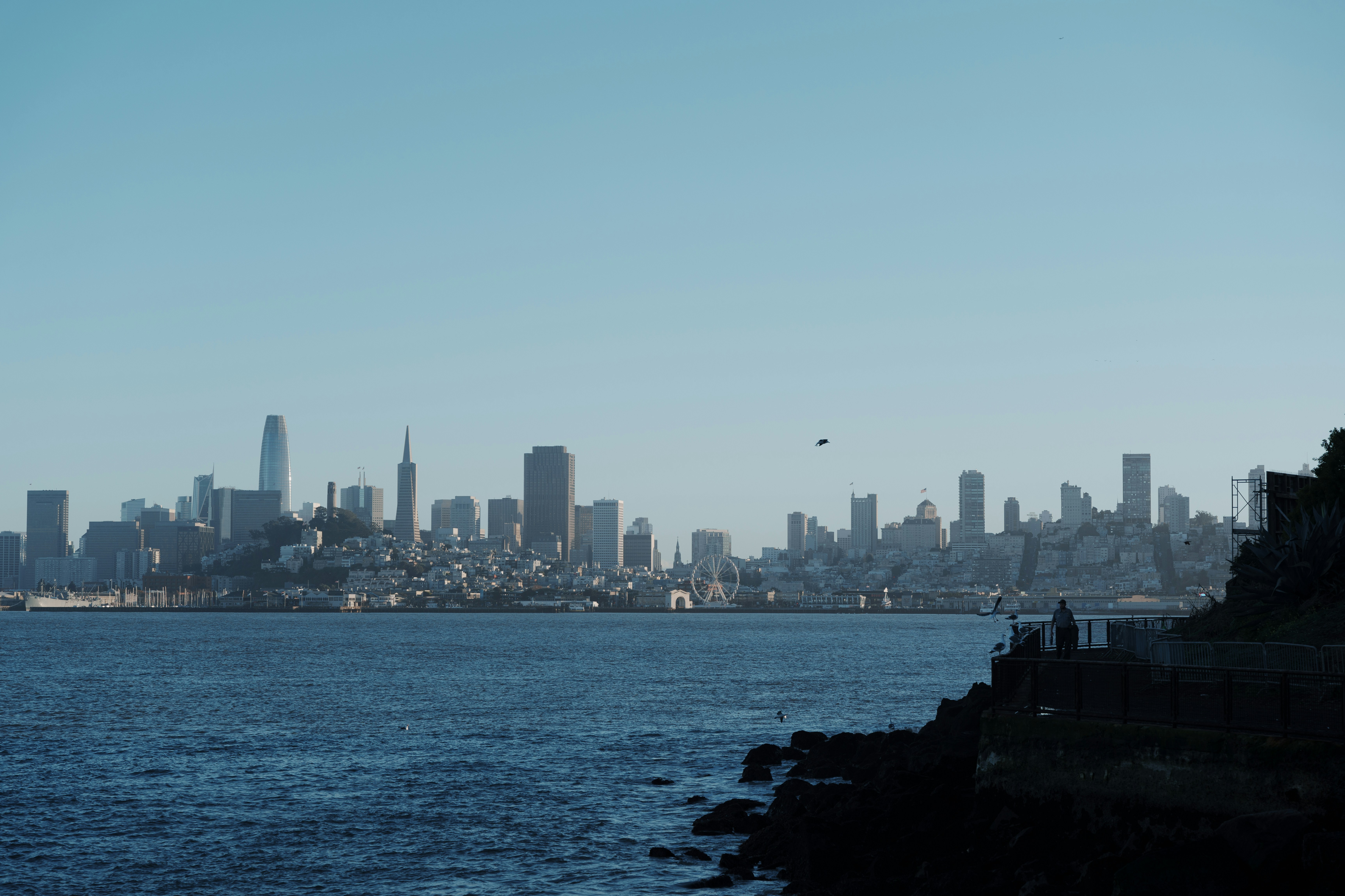 Photo by Sherlock Jin with Sony Alpha 7 IV