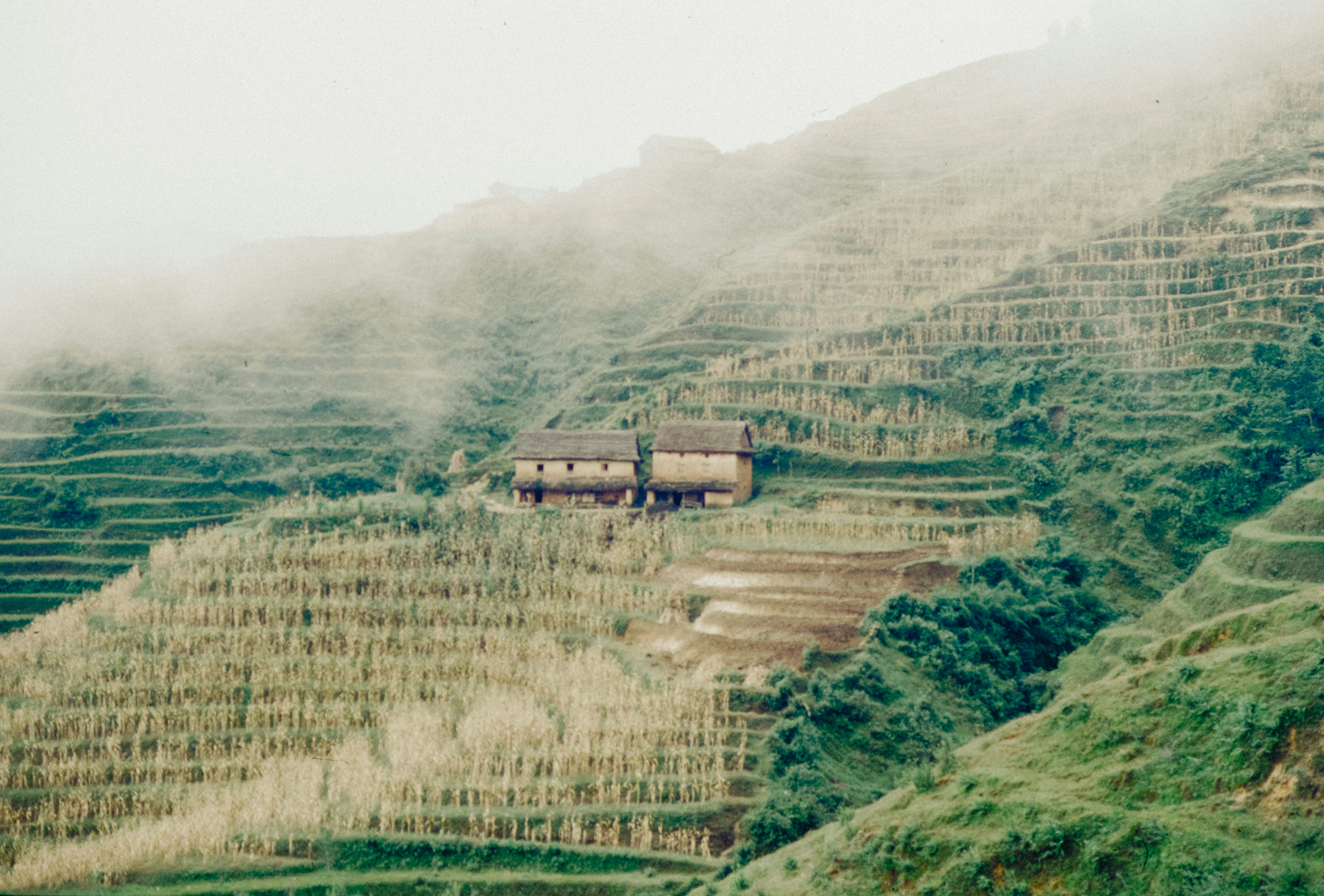 Terraced Valley Cabin Amid Mist