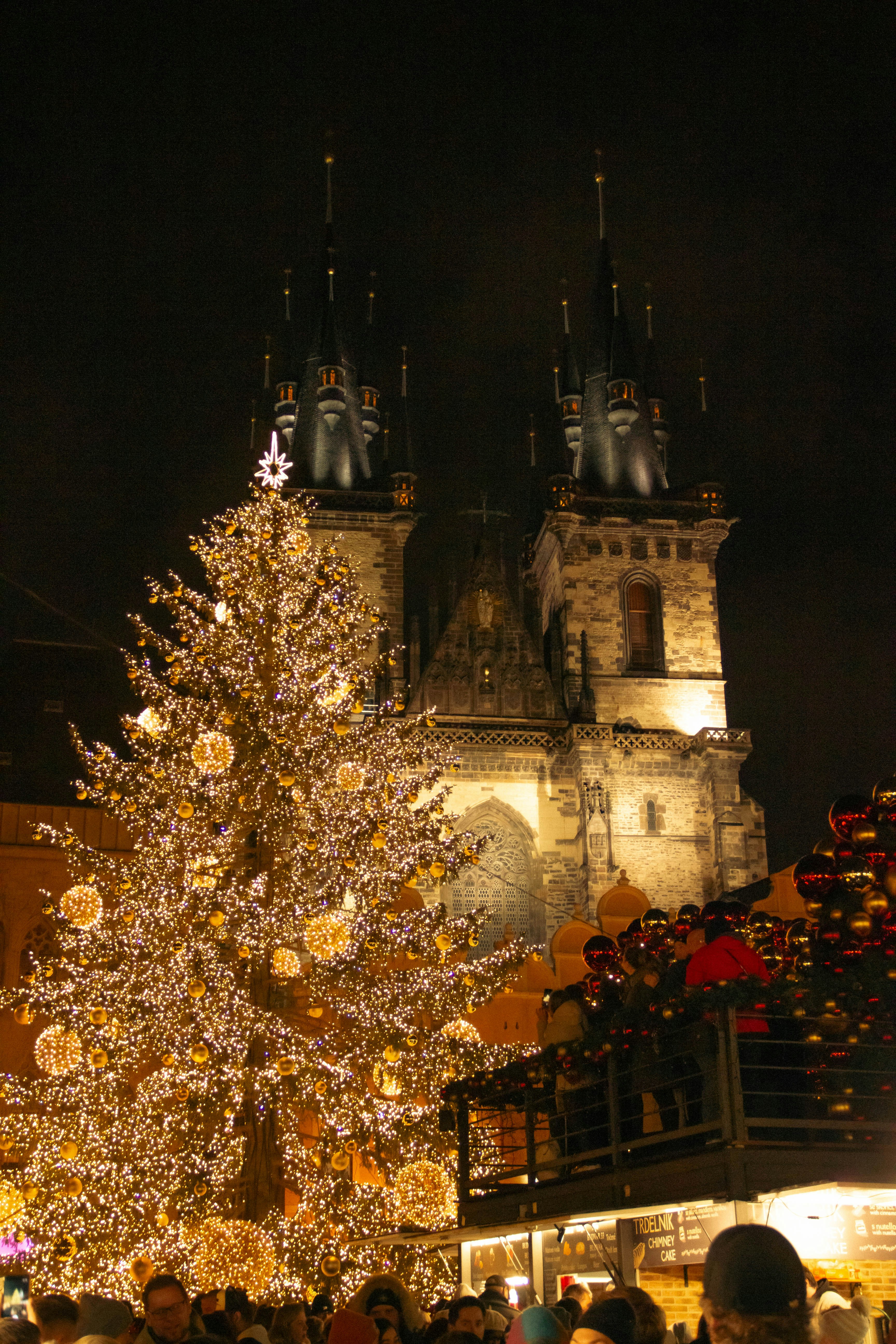 Illuminated Christmas Tree Framing a Historic Gothic Tower at Night