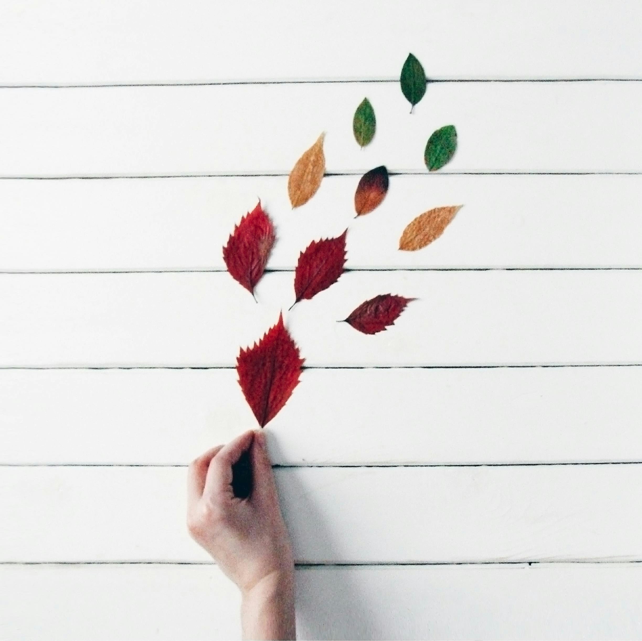 white flatlay hand autumn leaves