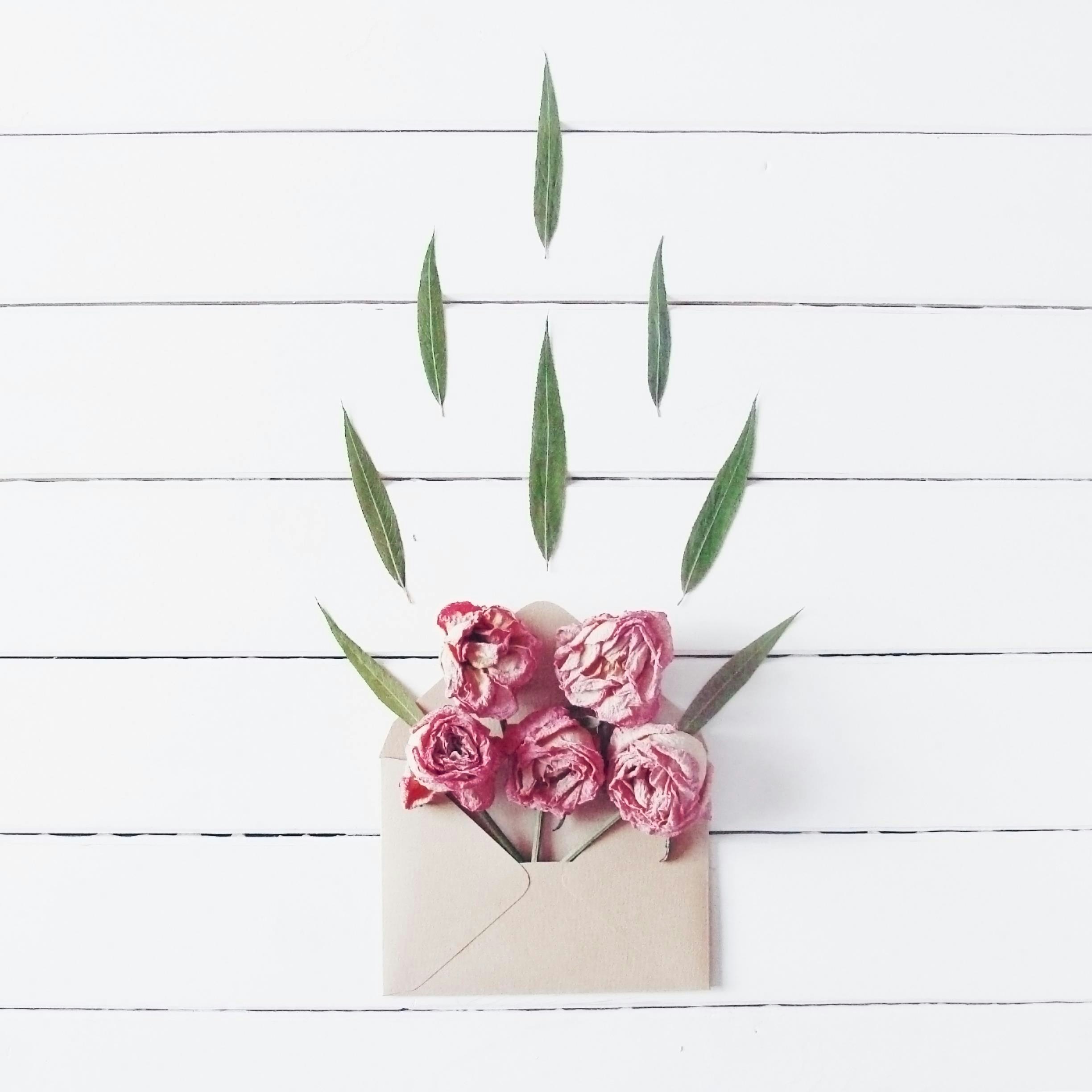 Pink Peony Bouquet Emerging from a Sealed Envelope