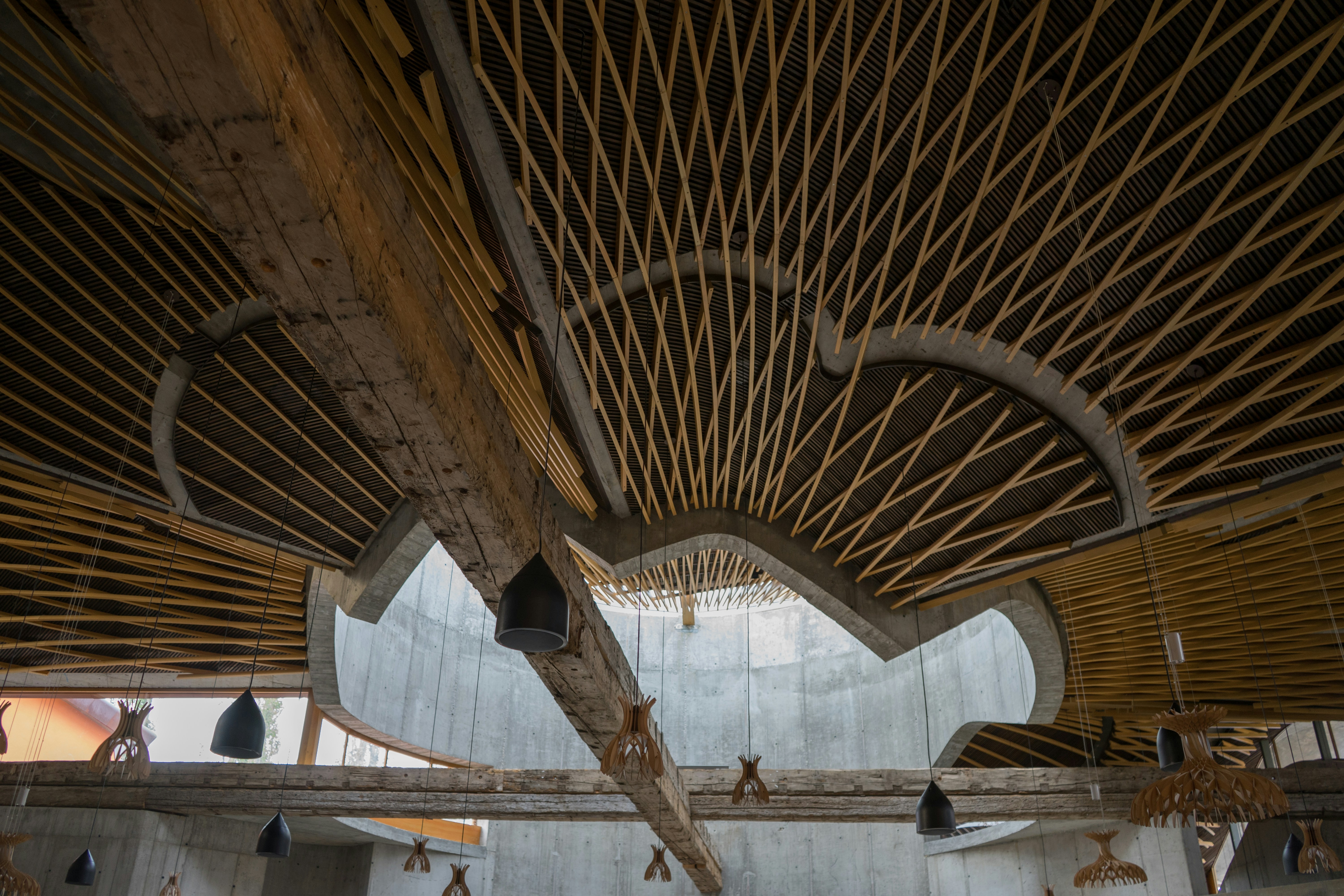 Crossing Arches: Concrete Curves in a Woven Canopy